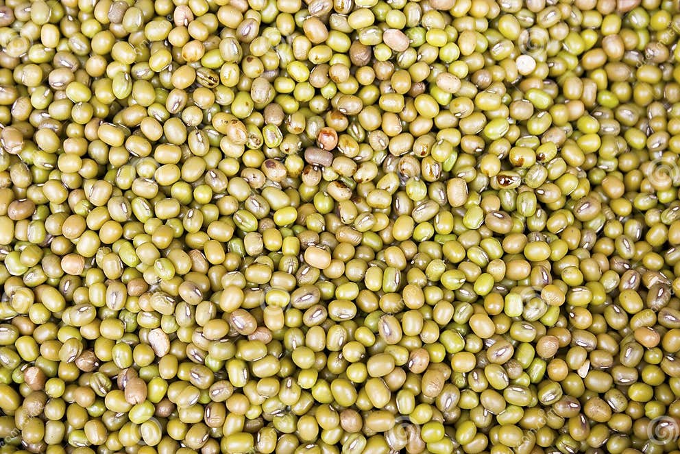 Mung bean seeds stock image. Image of mung, food, fruit - 13310787