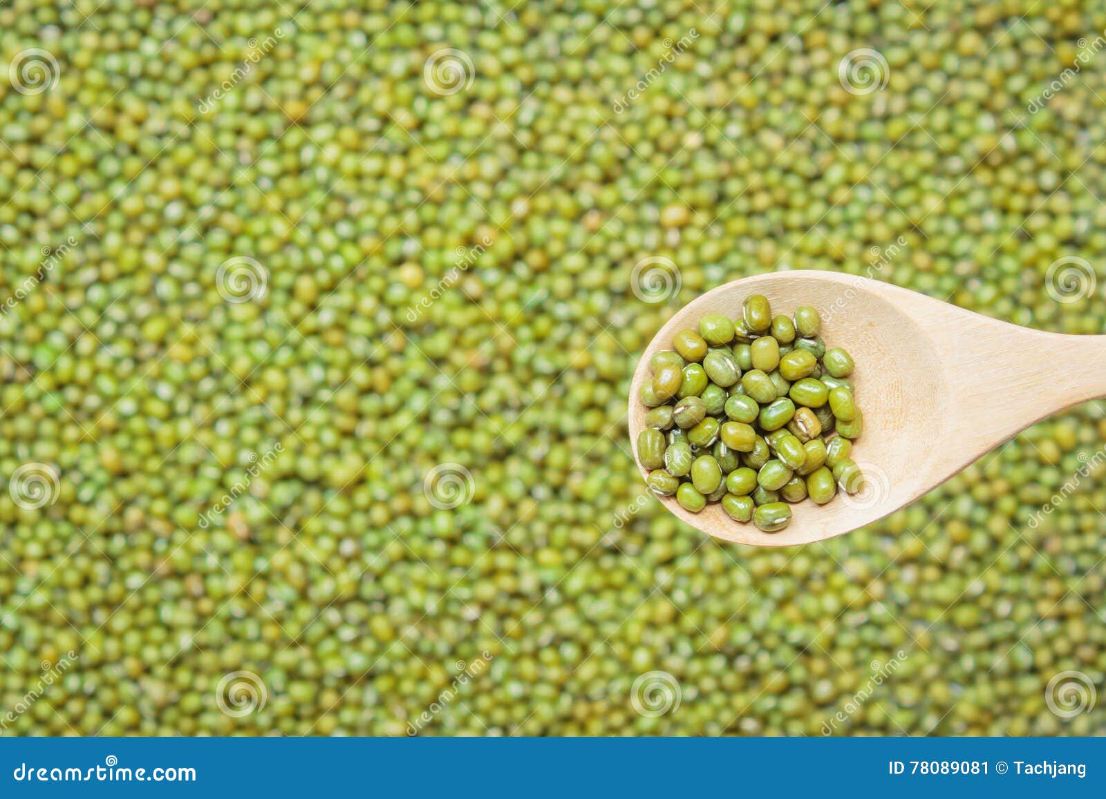 Mung bean seeds. stock image. Image of natural, protein - 78089081