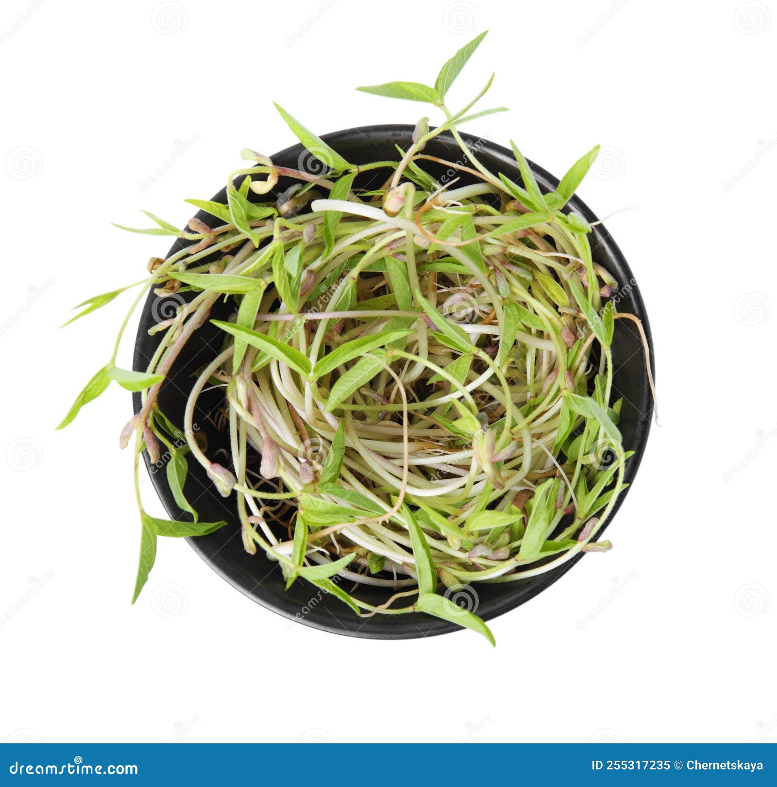 Mung Bean Sprouts in Black Bowl Isolated on White, Top View Stock Image ...
