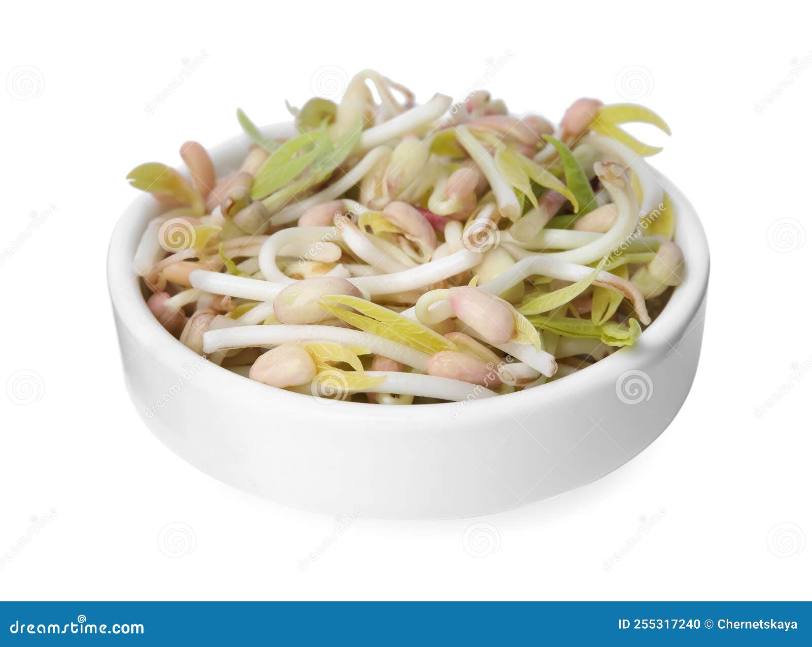 Mung Bean Sprouts in Plate Isolated on White Stock Photo - Image of ...