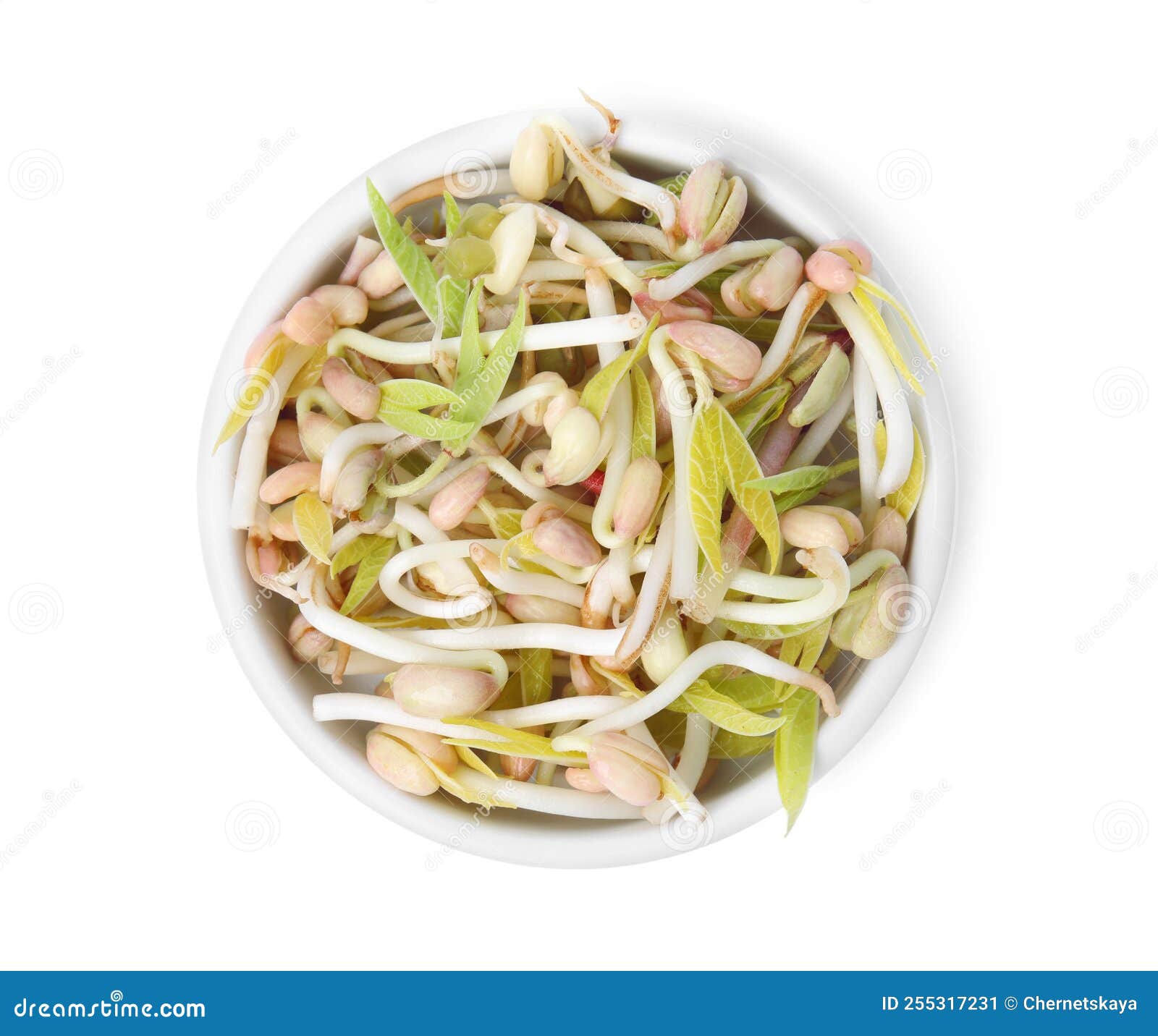 Mung Bean Sprouts in Plate Isolated on White, Top View Stock Image ...