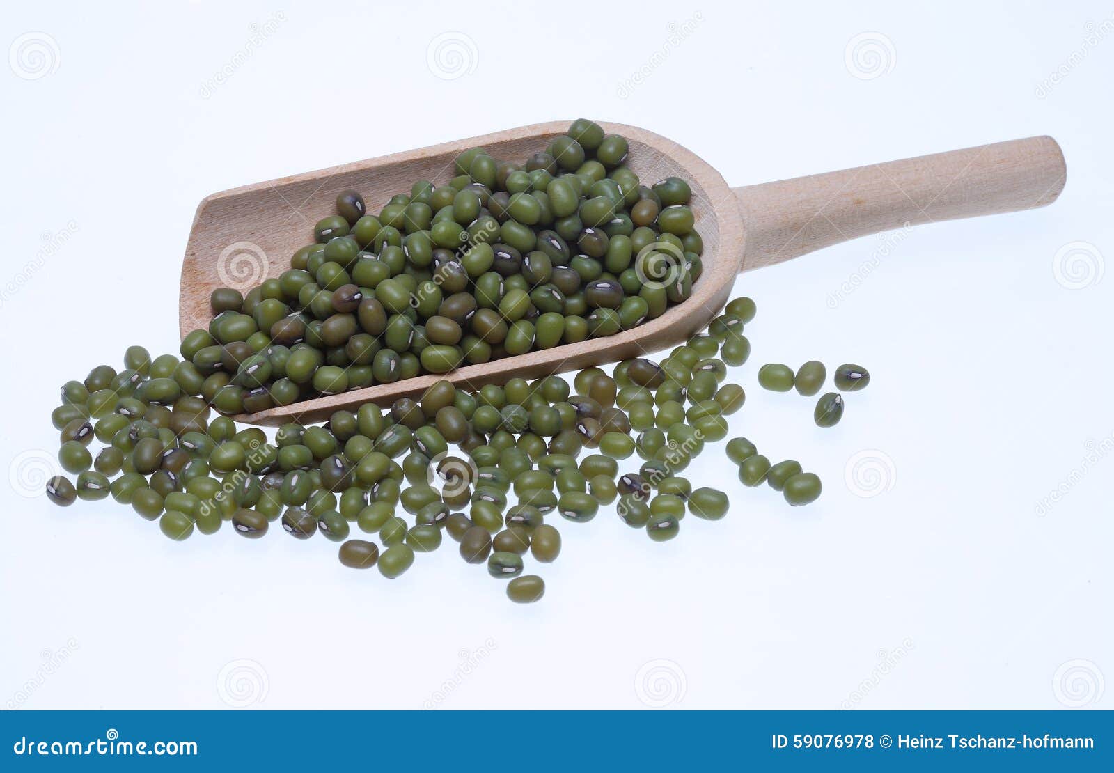 Mung bean, Vigna radiata stock photo. Image of legume - 59076978