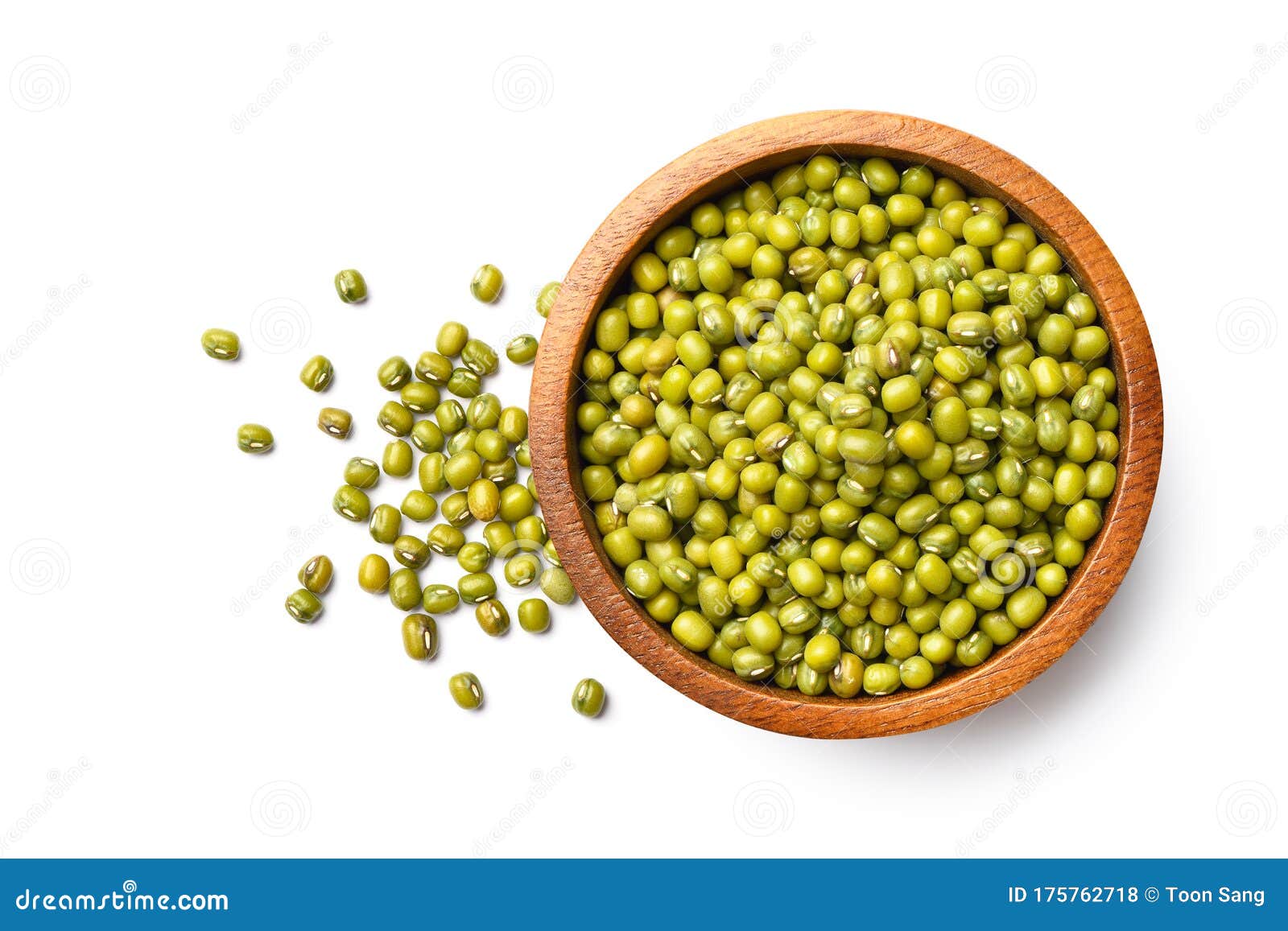 Mung Bean Vigna Radiata Seeds in Wooden Bowl Stock Photo - Image of ... Mung Bean Vigna Radiata Seeds in Wooden Bowl Stock Photo - Image of ...