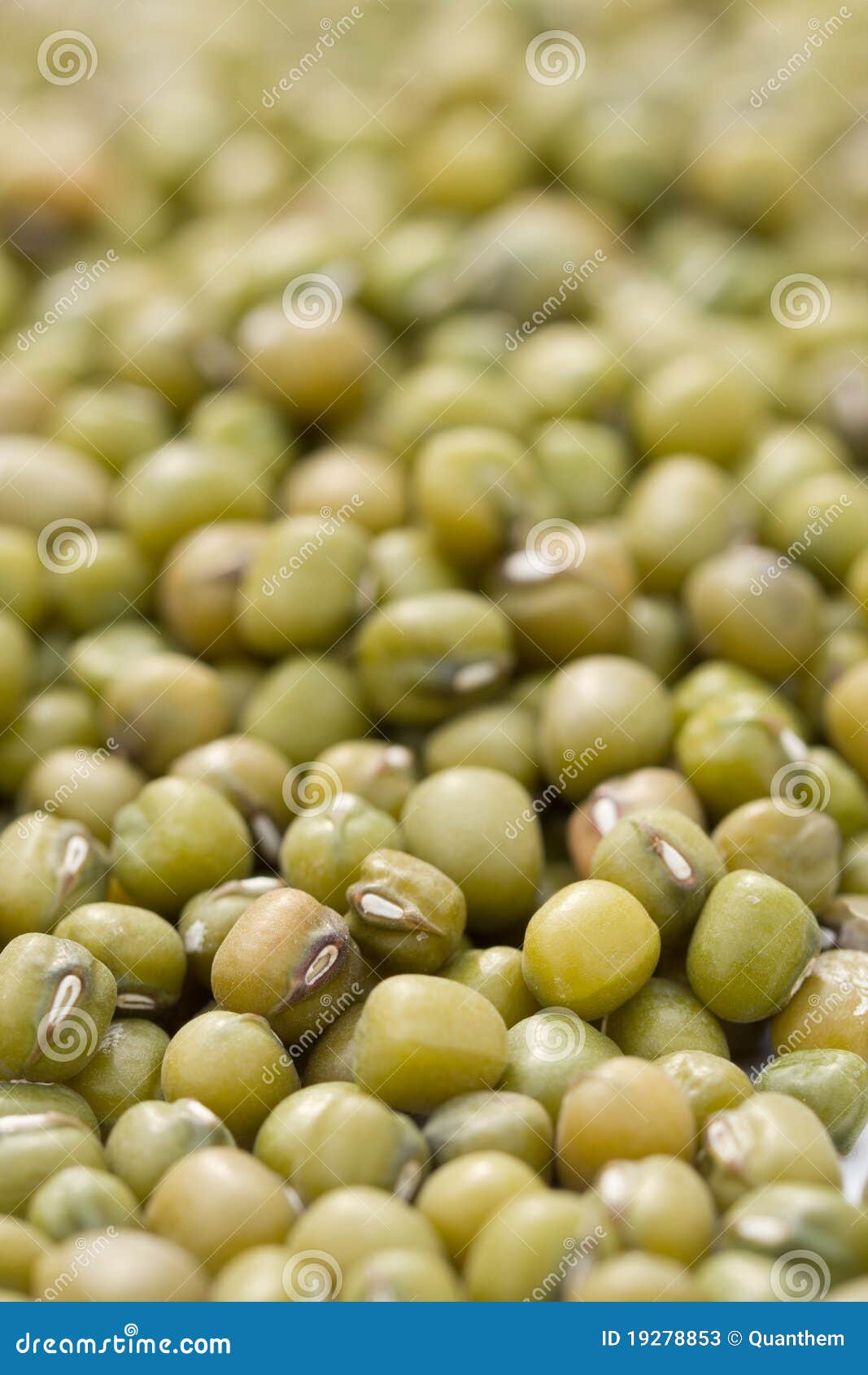 Mung beans stock image. Image of square, drink, close - 19278853
