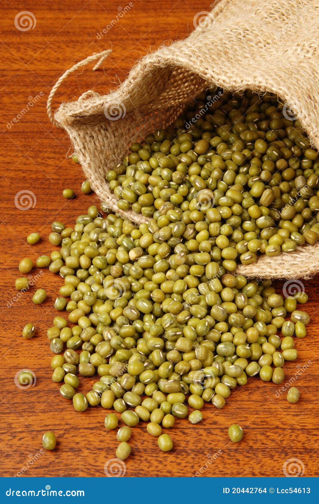 Mung beans stock photo. Image of edible, organic, mung - 20442764