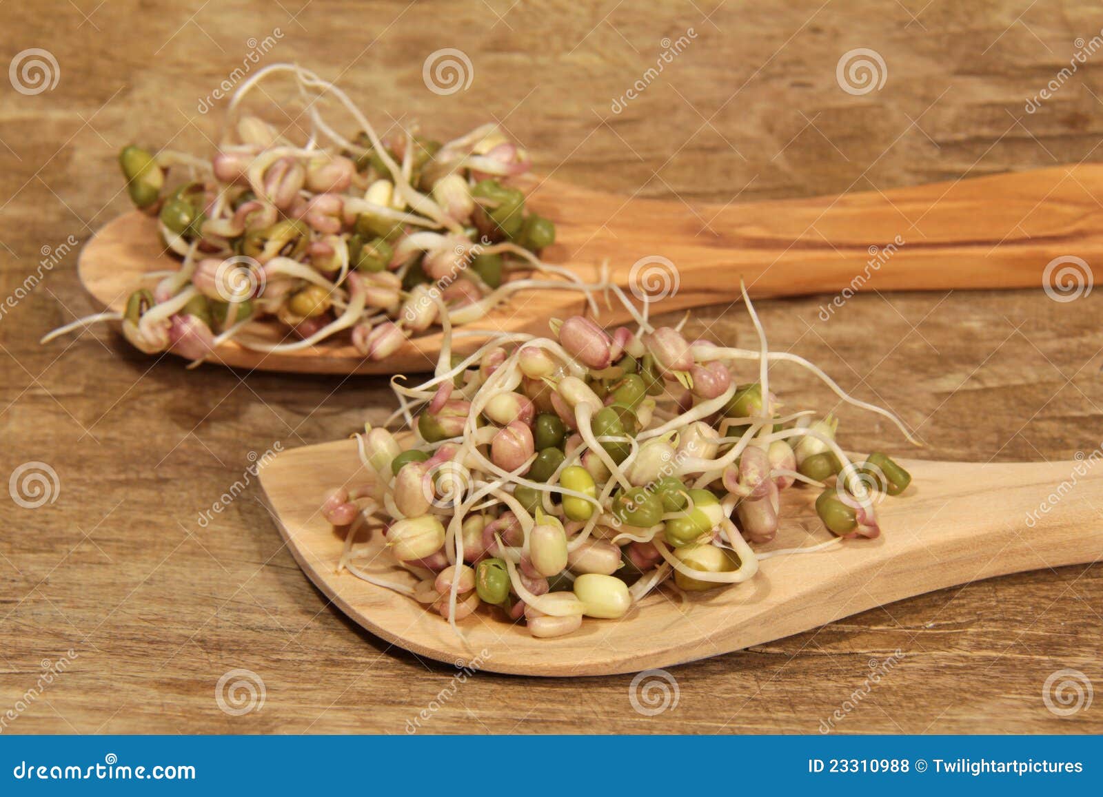 Mung beans stock photo. Image of lentils, beans, mild - 23310988