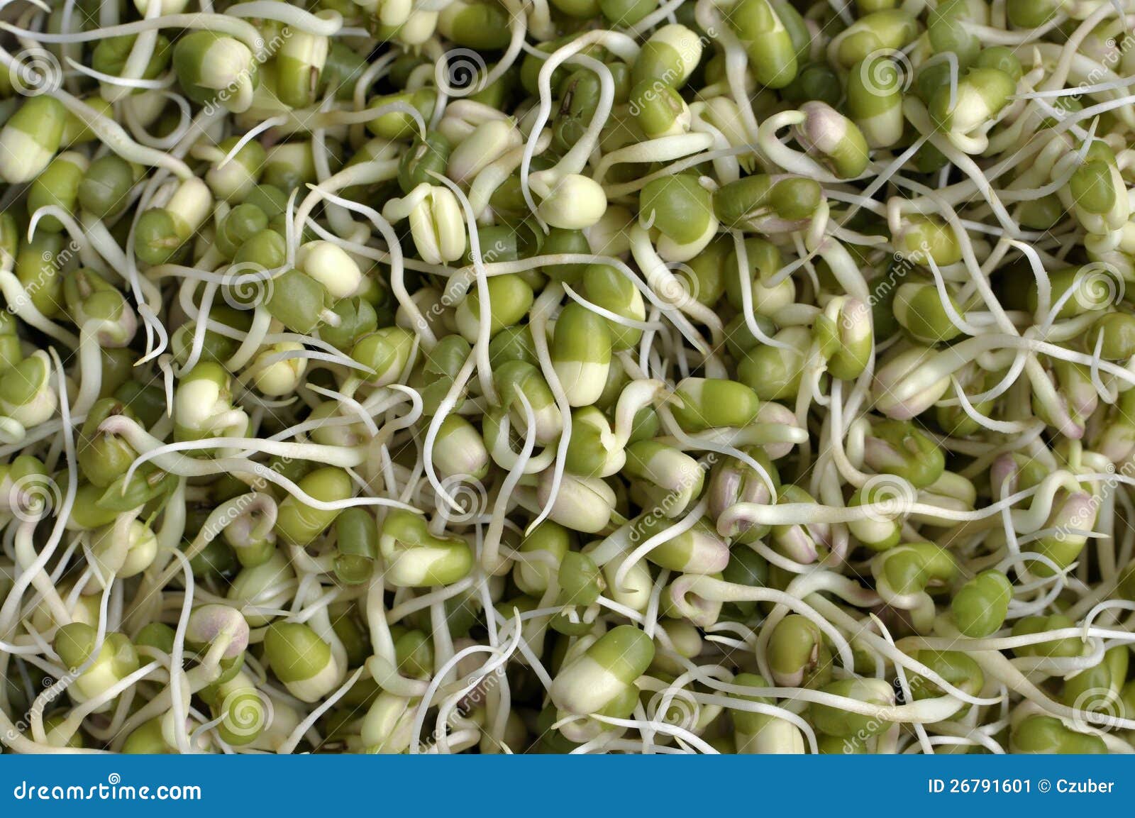 Mung beans stock image. Image of horizontal, detail, vegetable - 26791601