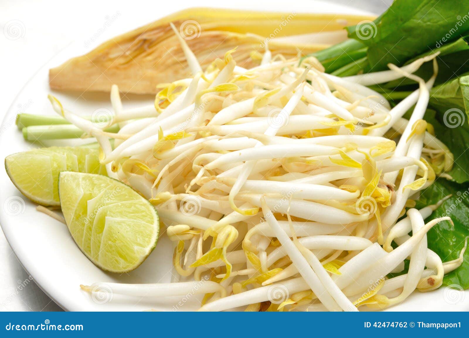 Mung Beans or Bean Sprouts on White Plates Stock Photo - Image of asian ...