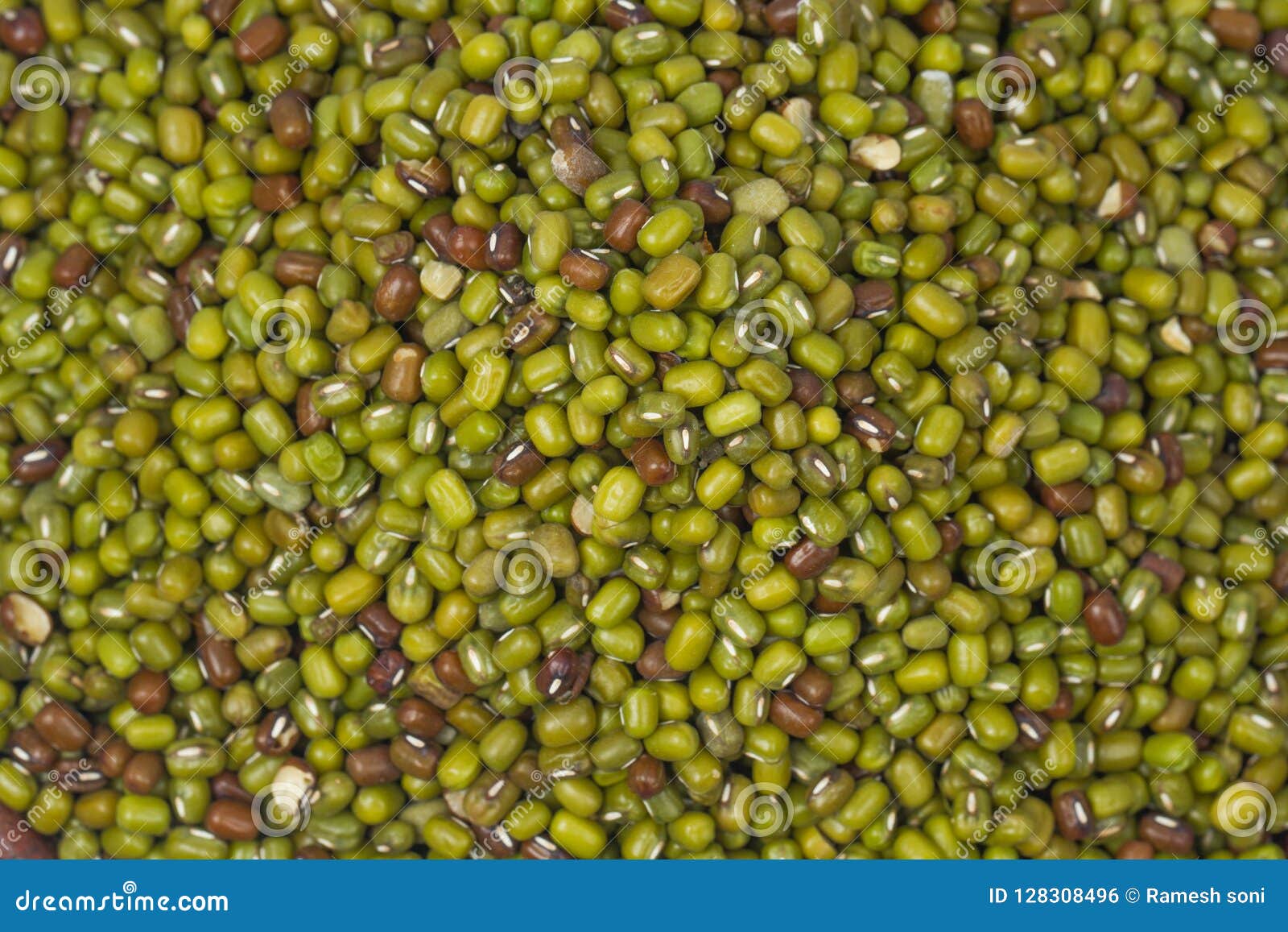 Mung beans isolated stock photo. Image of mung, natural - 128308496