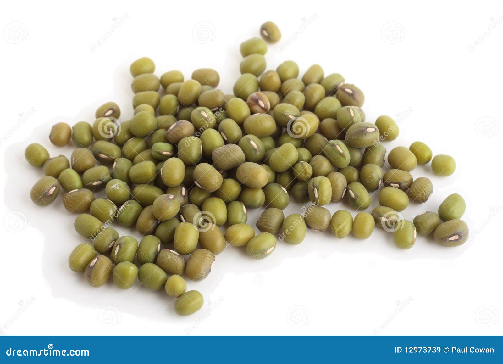 Mung beans side view stock image. Image of white, green - 12973739