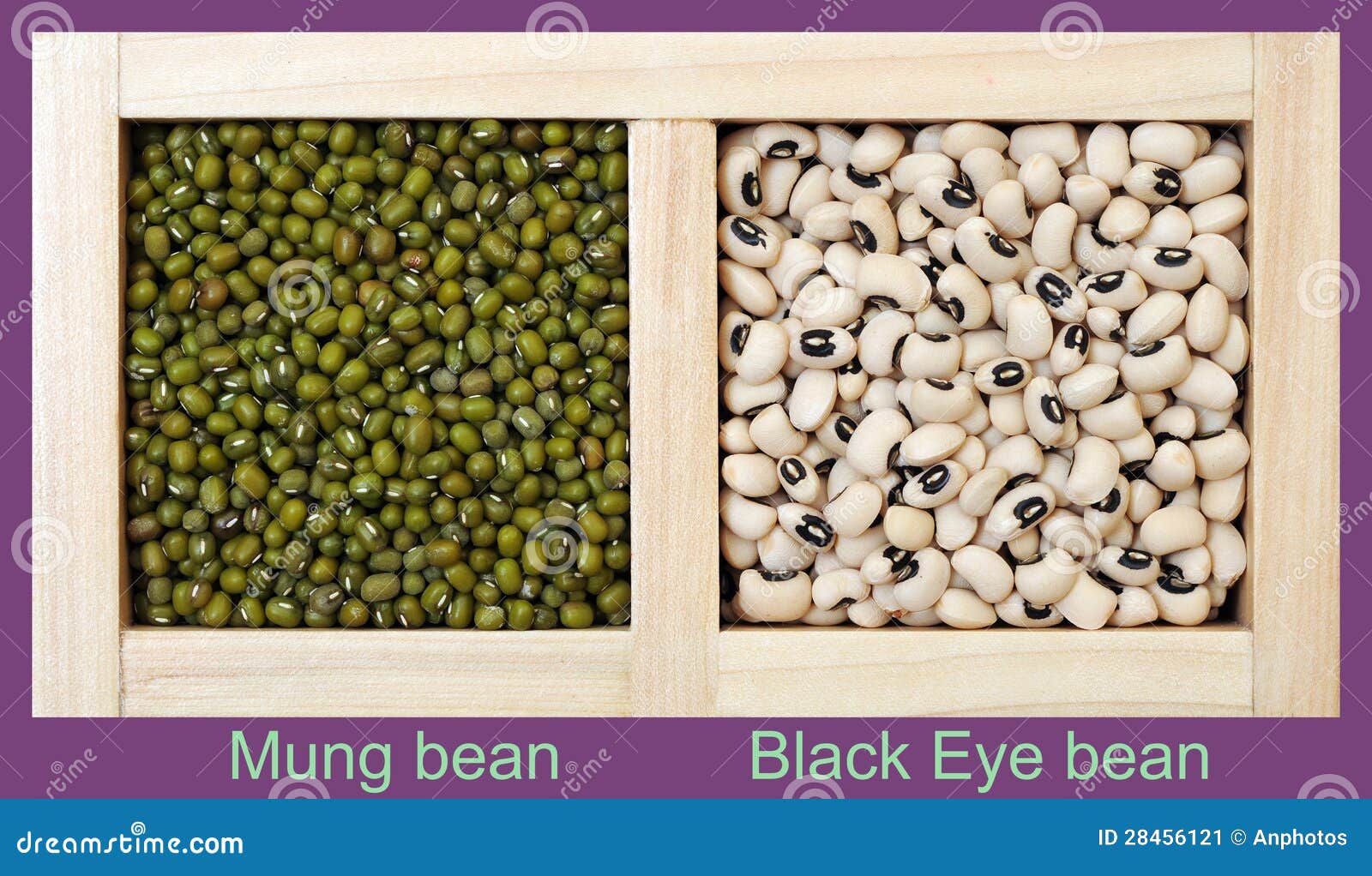Mung and Black Eye Beans stock image. Image of black - 28456121