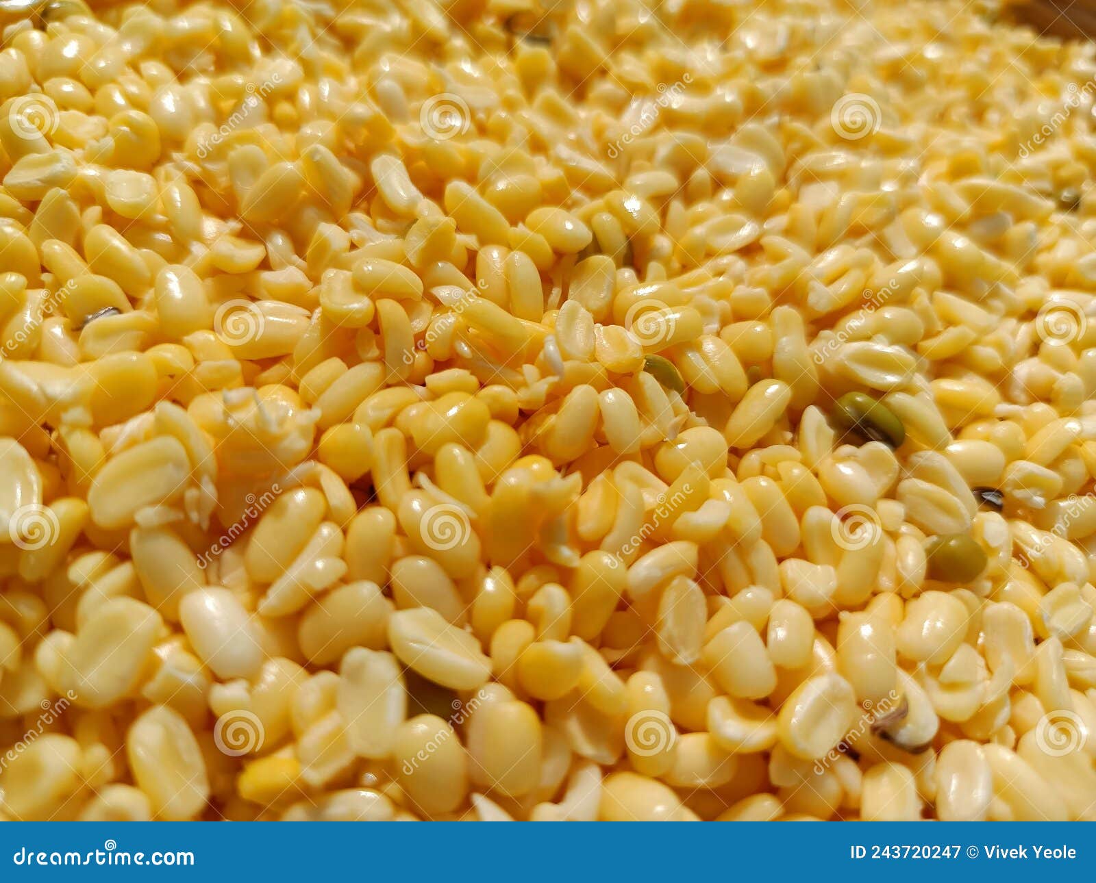 Mung Dal or Moong Dal or Yellow Daal Stock Image - Image of daal, moong ...