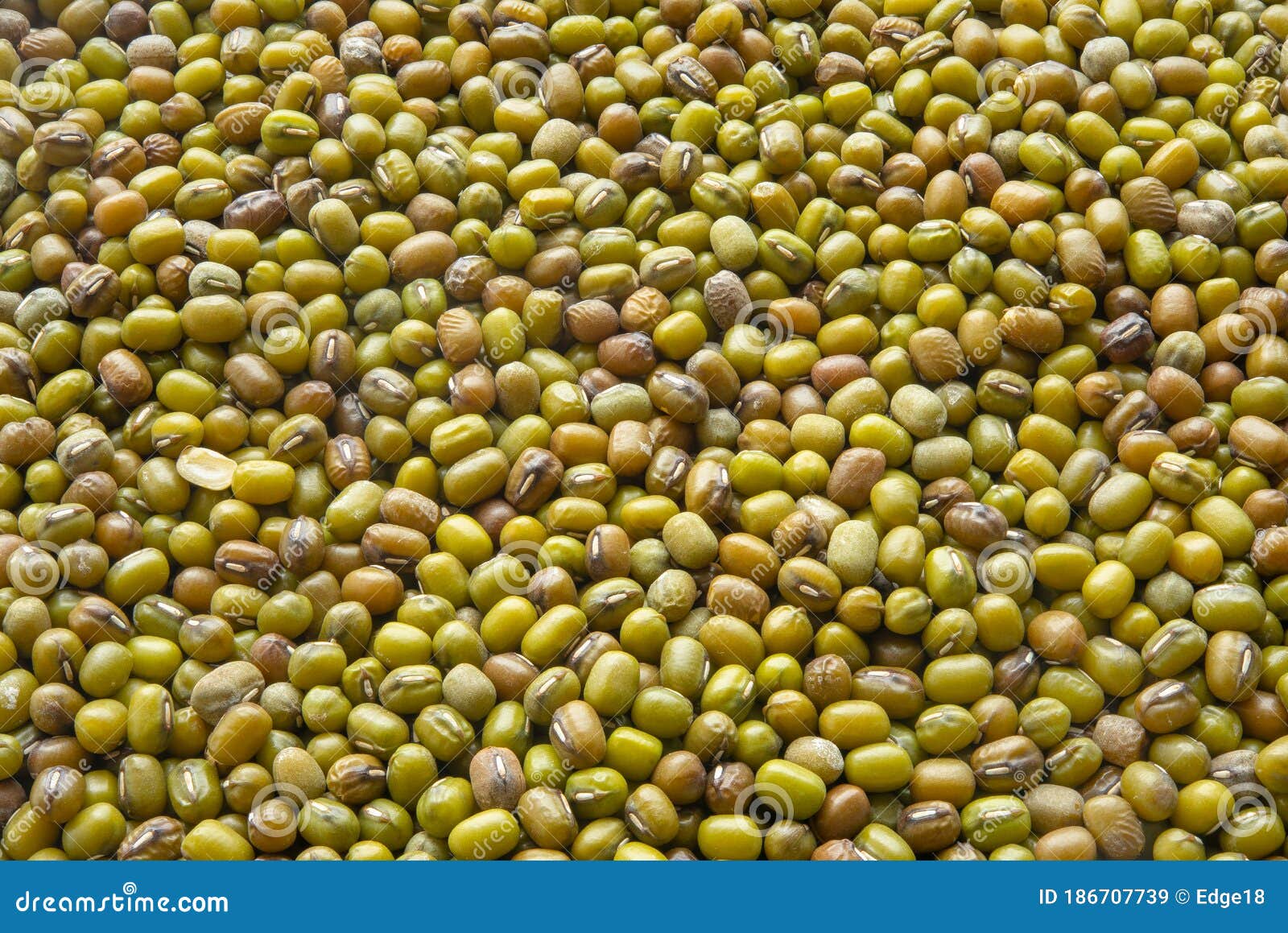 Mung Peas Background. Focus All Over the Frame Stock Image - Image of ...
