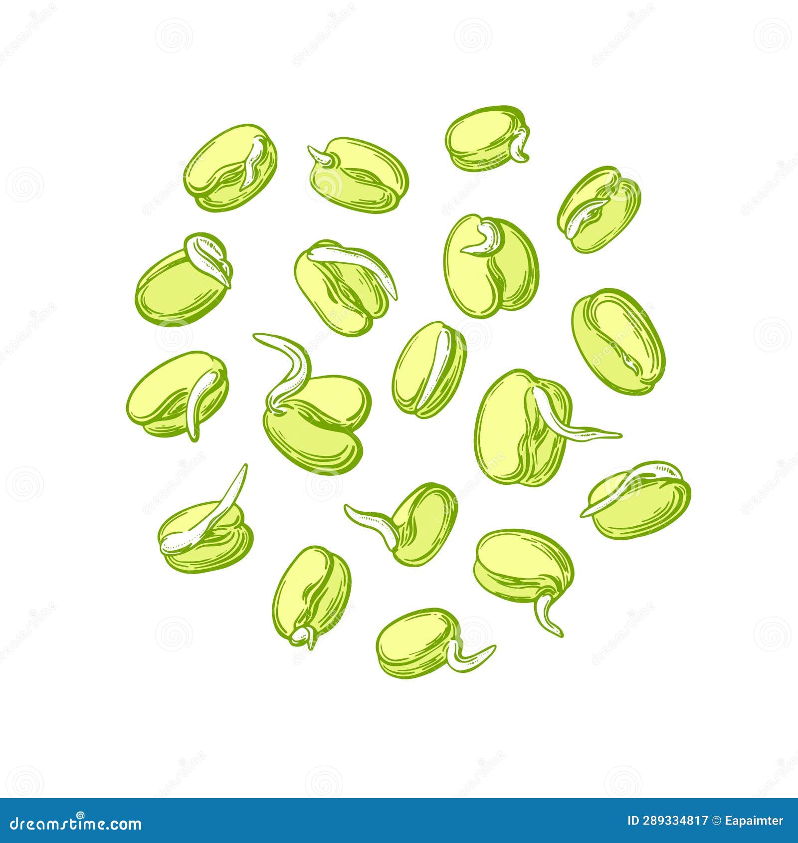 Simple Sprouting Seed Drawing. Green Cartoon Sprout Stock Illustration ...