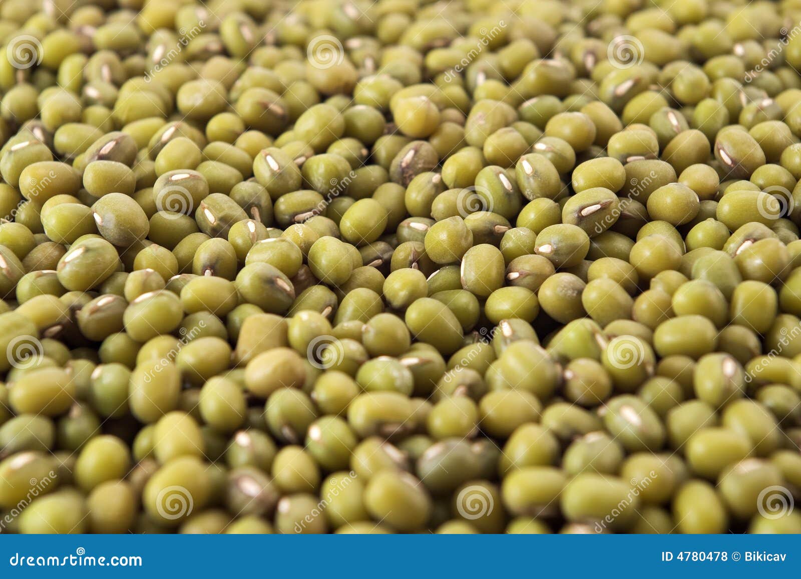 Mungo Beans stock photo. Image of beans, vegetable, mungo - 4780478