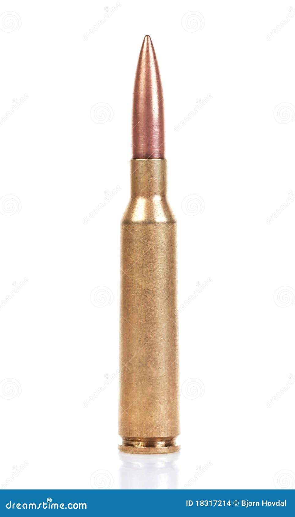 Munitie stock foto. Image of jacht, militair, vrees, hoofd - 18317214