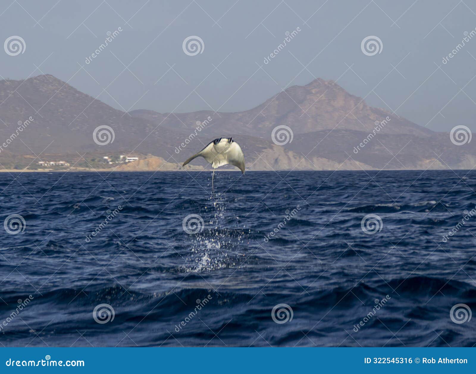 Man Jumping In Sun Rays Royalty-Free Stock Photography | CartoonDealer ...