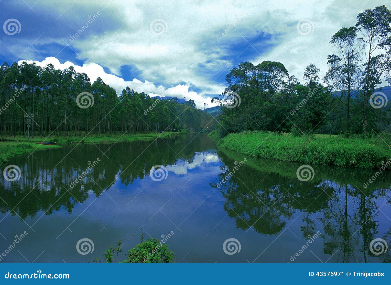 Munnar, a Hill Station in India Stock Image - Image of nature ...