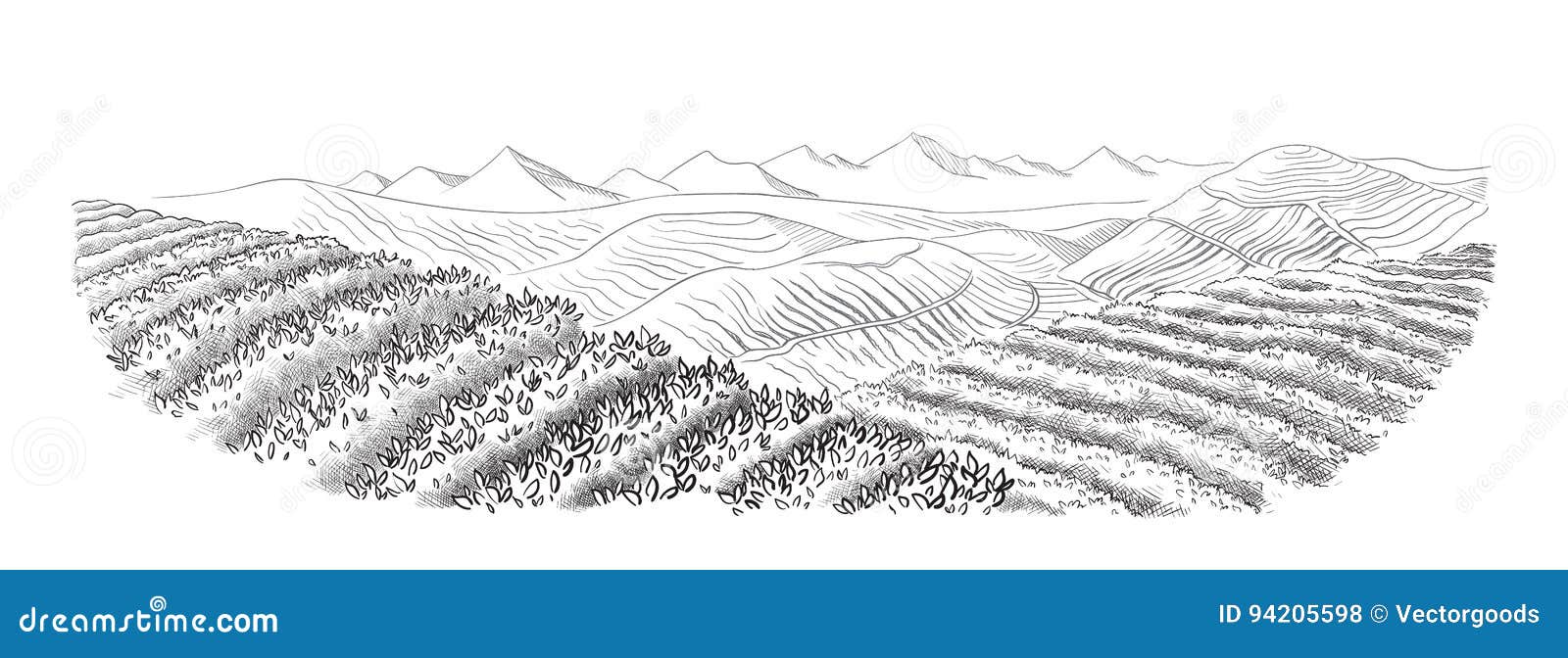 Munnar, Kerala, Indien vektor abbildung. Illustration von porzellan ...