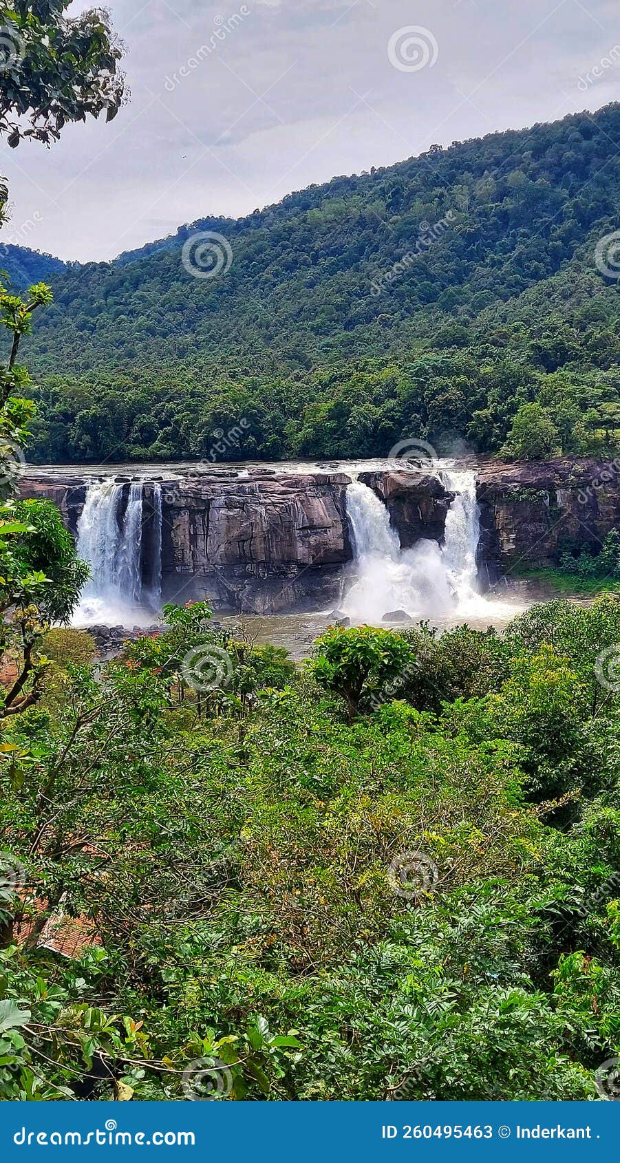 Munnar kerala stock image. Image of ravine, nature, reservoir - 260495463