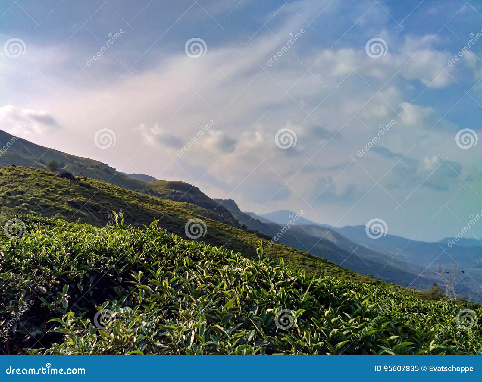 Munnar Landscape stock image. Image of asian, mountain - 95607835