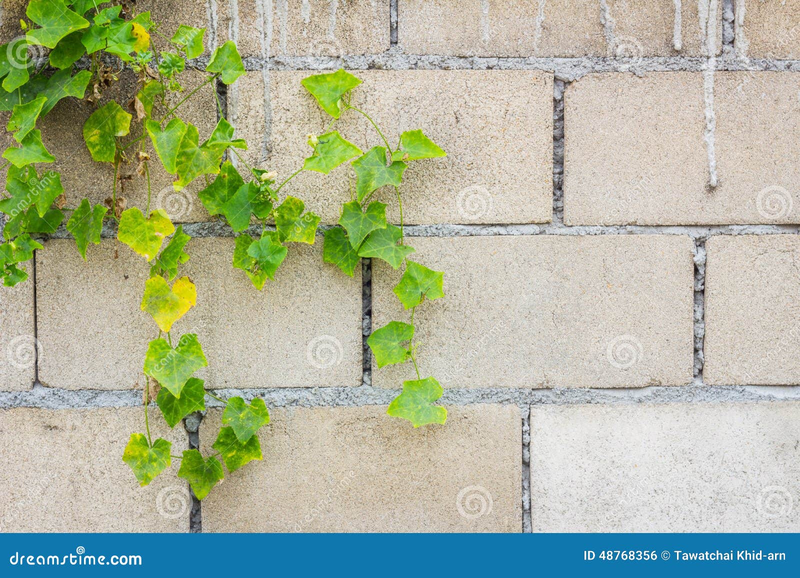 Mur de briques creux photo stock. Image du rétro, architecture - 48768356