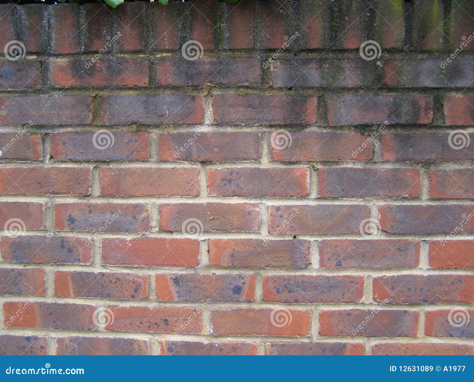 Mur De Briques Rouge Britannique Image stock - Image du architecture ...