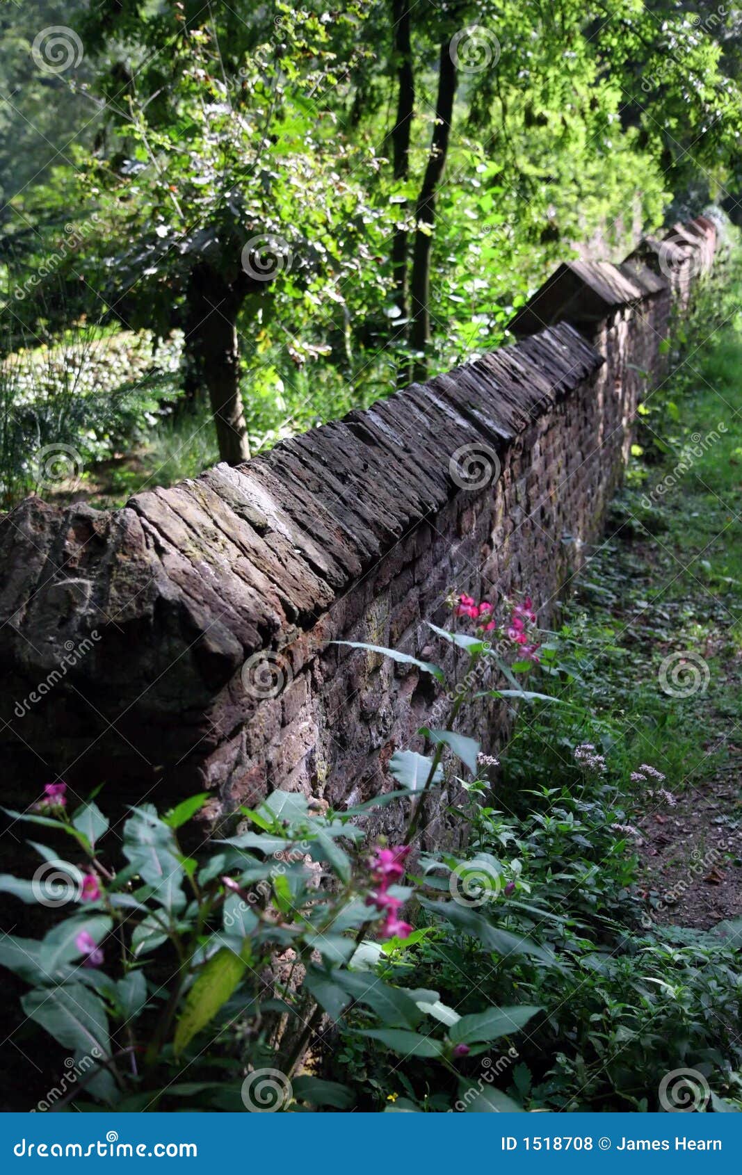Mur de jardin de roche photo stock. Image du mousse, bloc - 1518708