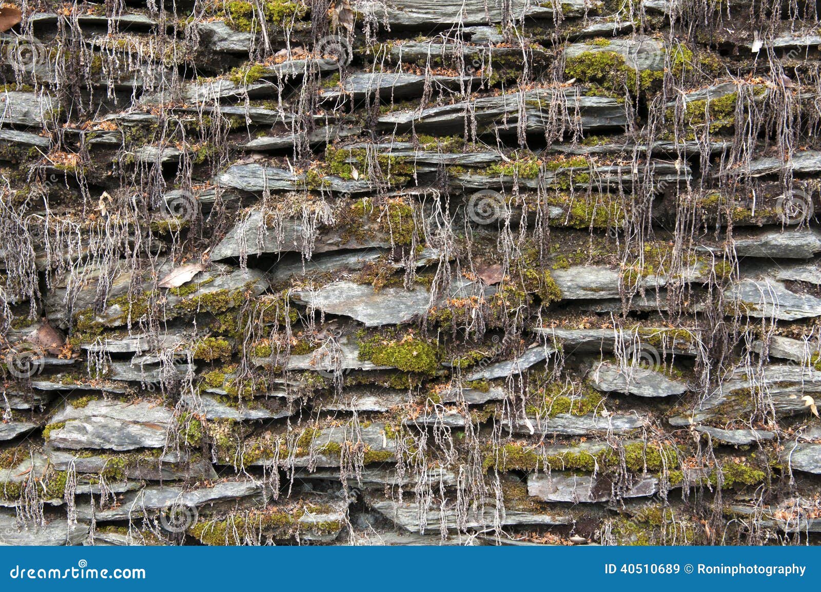 Mur de schiste image stock. Image du schiste, gris, lichens - 40510689