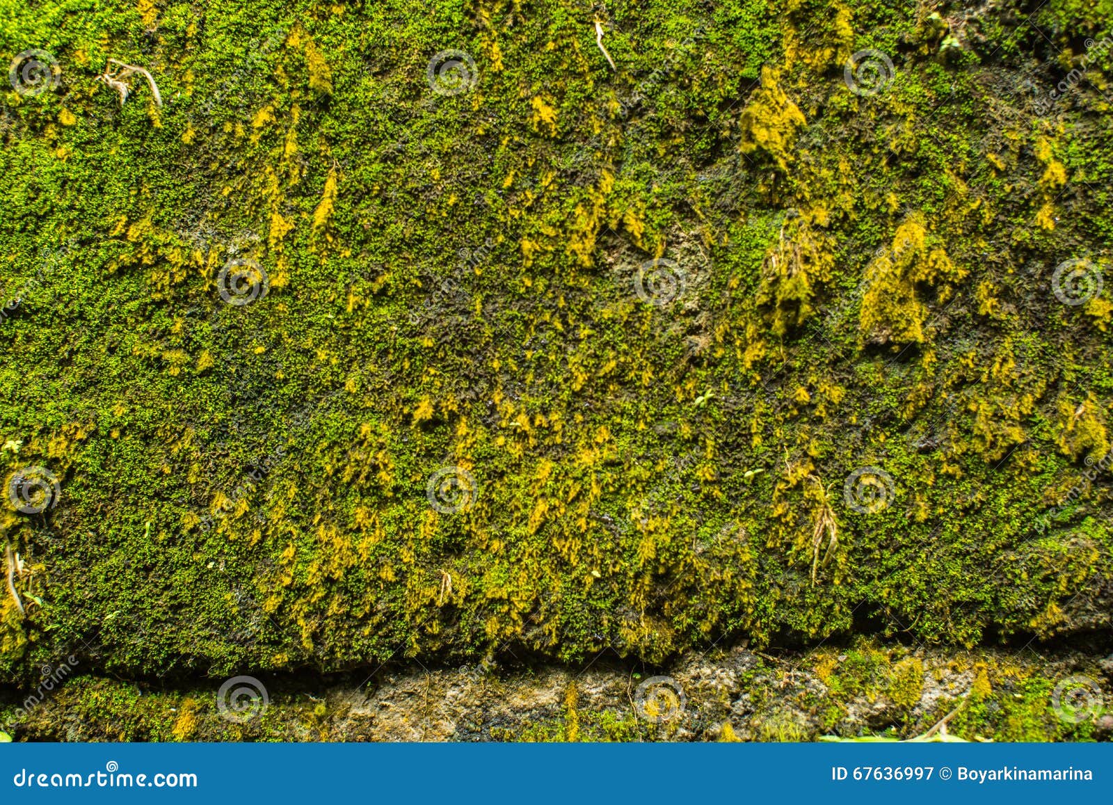 Mur En Pierre Avec La Verdure Texture Image stock - Image du herbe ...