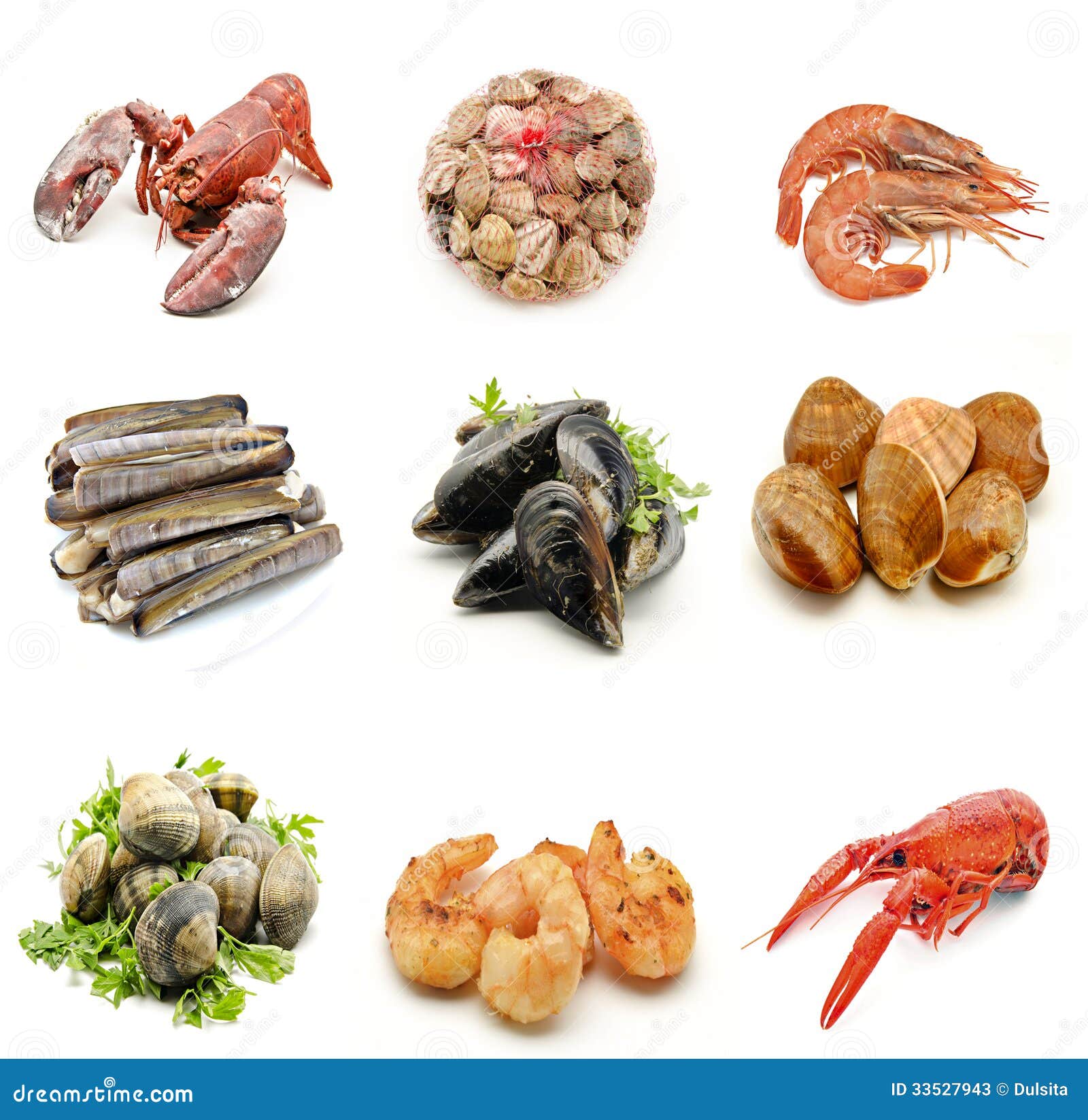 Mural de los mariscos imagen de archivo. Imagen de cangrejo - 33527943
