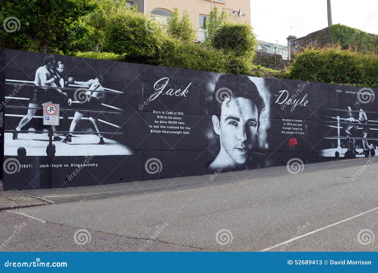 Mural Dedicated To Nelson Mandela, Important Historical Figure Who ...