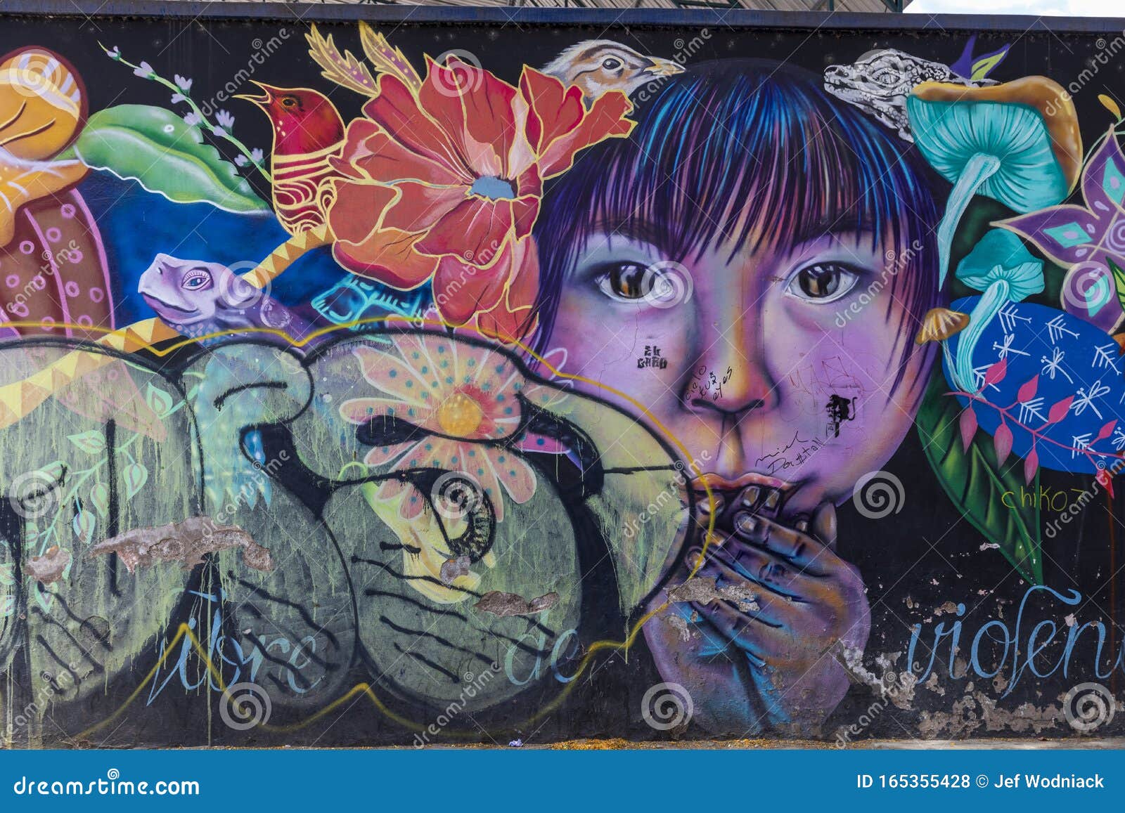 Mural Painting in Cochabamba Bolivia Editorial Stock Photo - Image of ...