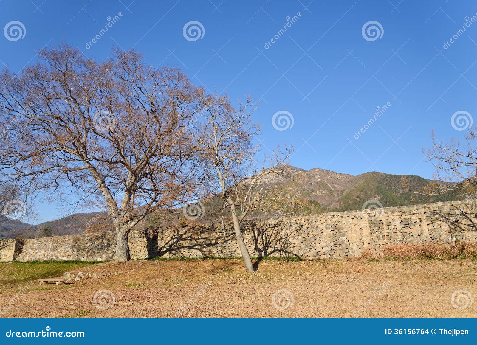 Muralha Tradicional Coreano Da Alvenaria Foto de Stock - Imagem de ...