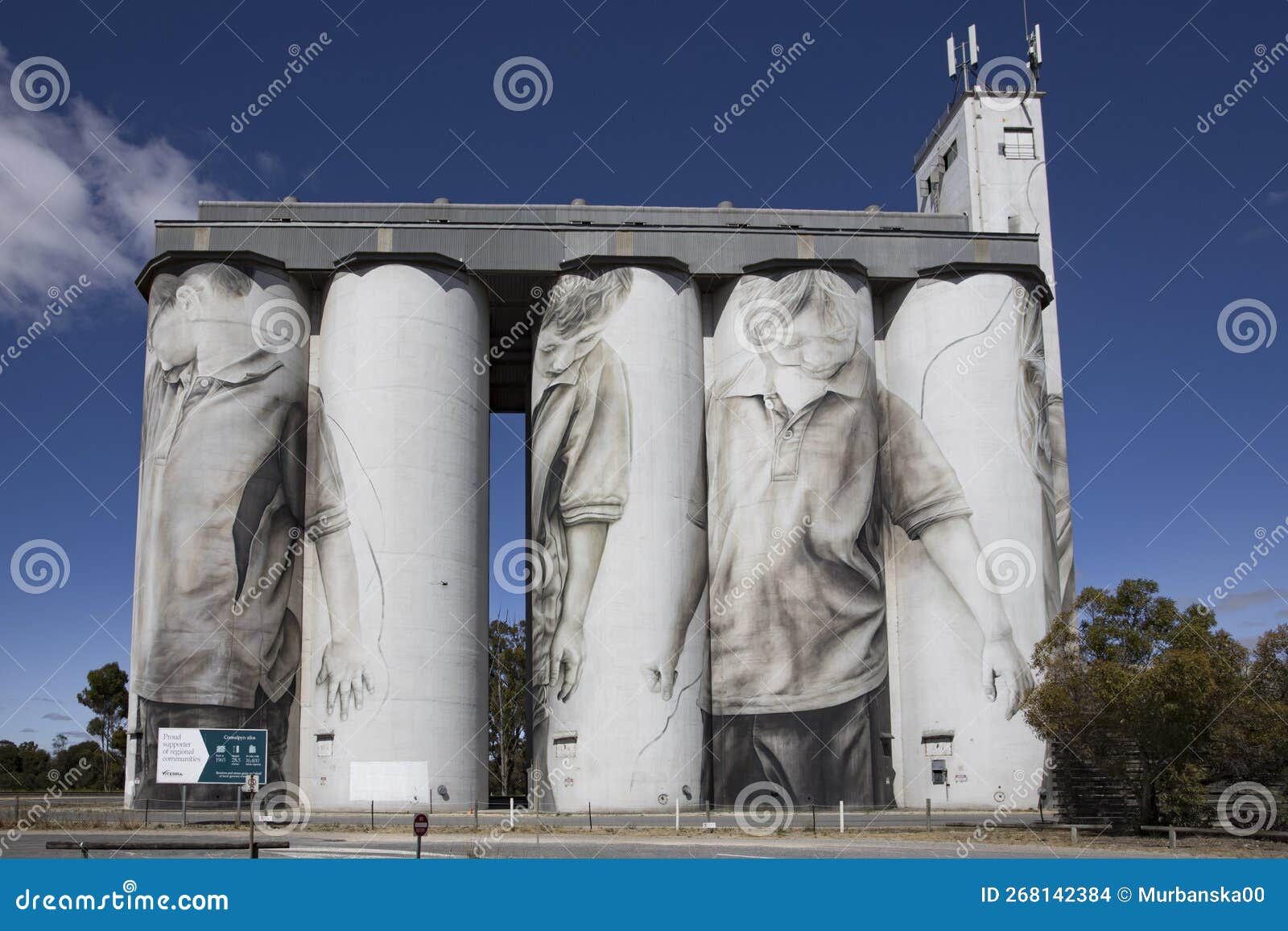 The Murals on Silos in Coonalpyn, South Australia Editorial Stock Image ...