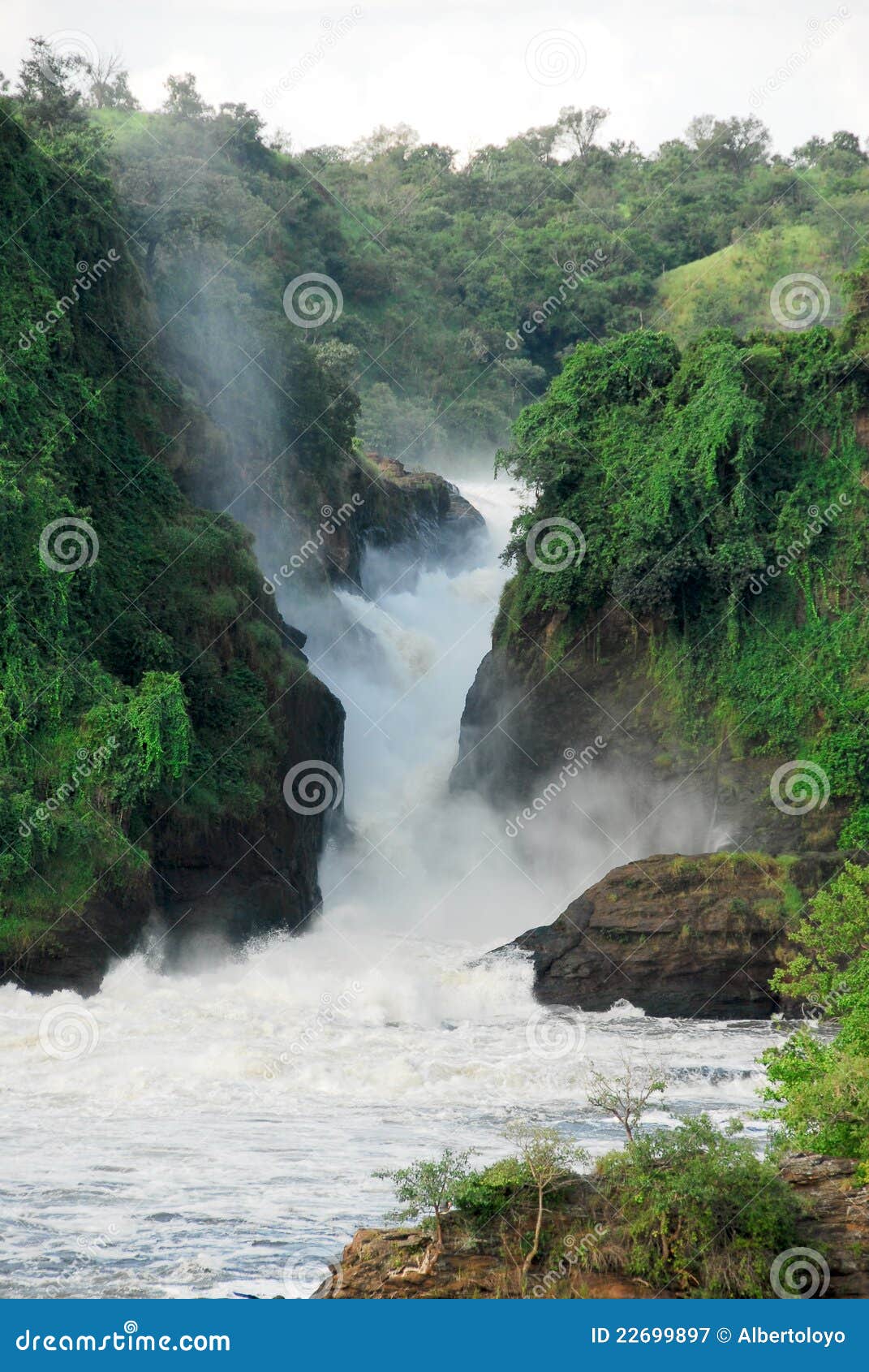 Murchison Cae En El Victoria El Nilo, Uganda Imagen de archivo - Imagen ...