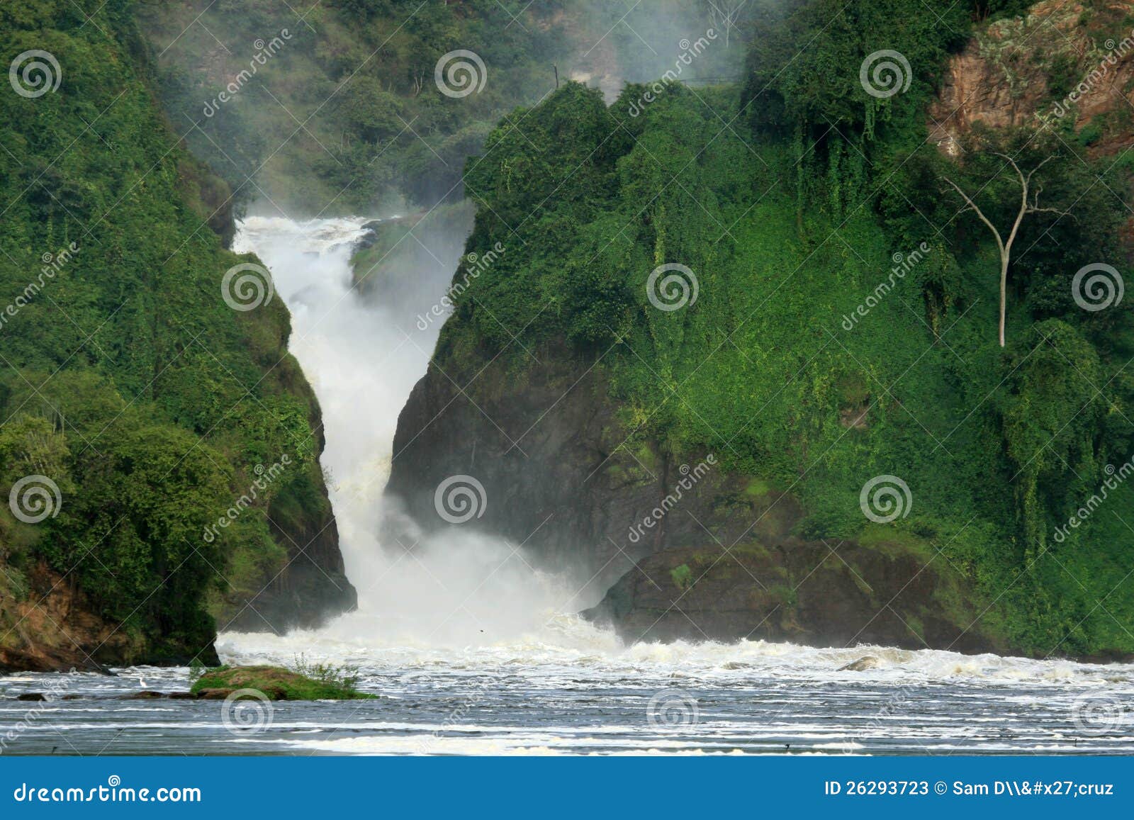 Murchison Falls NP, Uganda, Africa Stock Image - Image of murchison ...