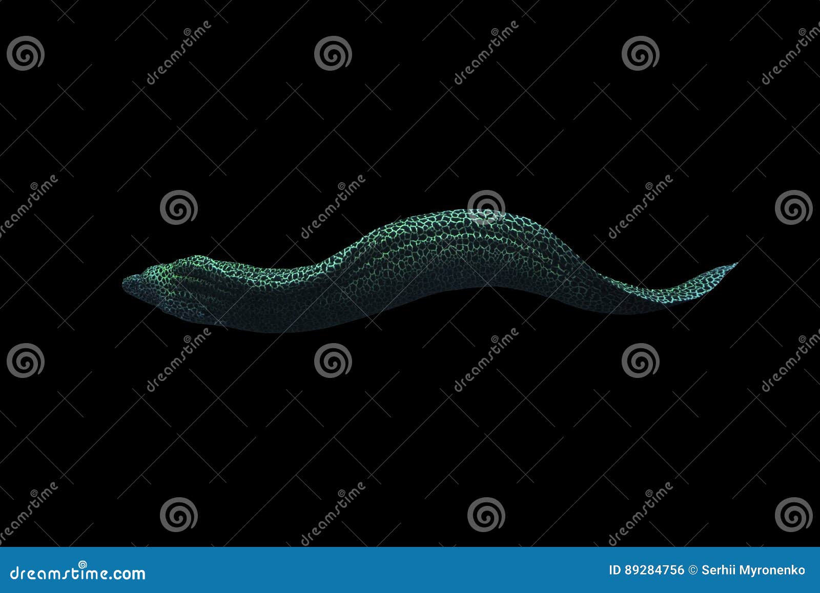 Murena Snake at Blue Ocean Isolated at Black Stock Photo - Image of ...