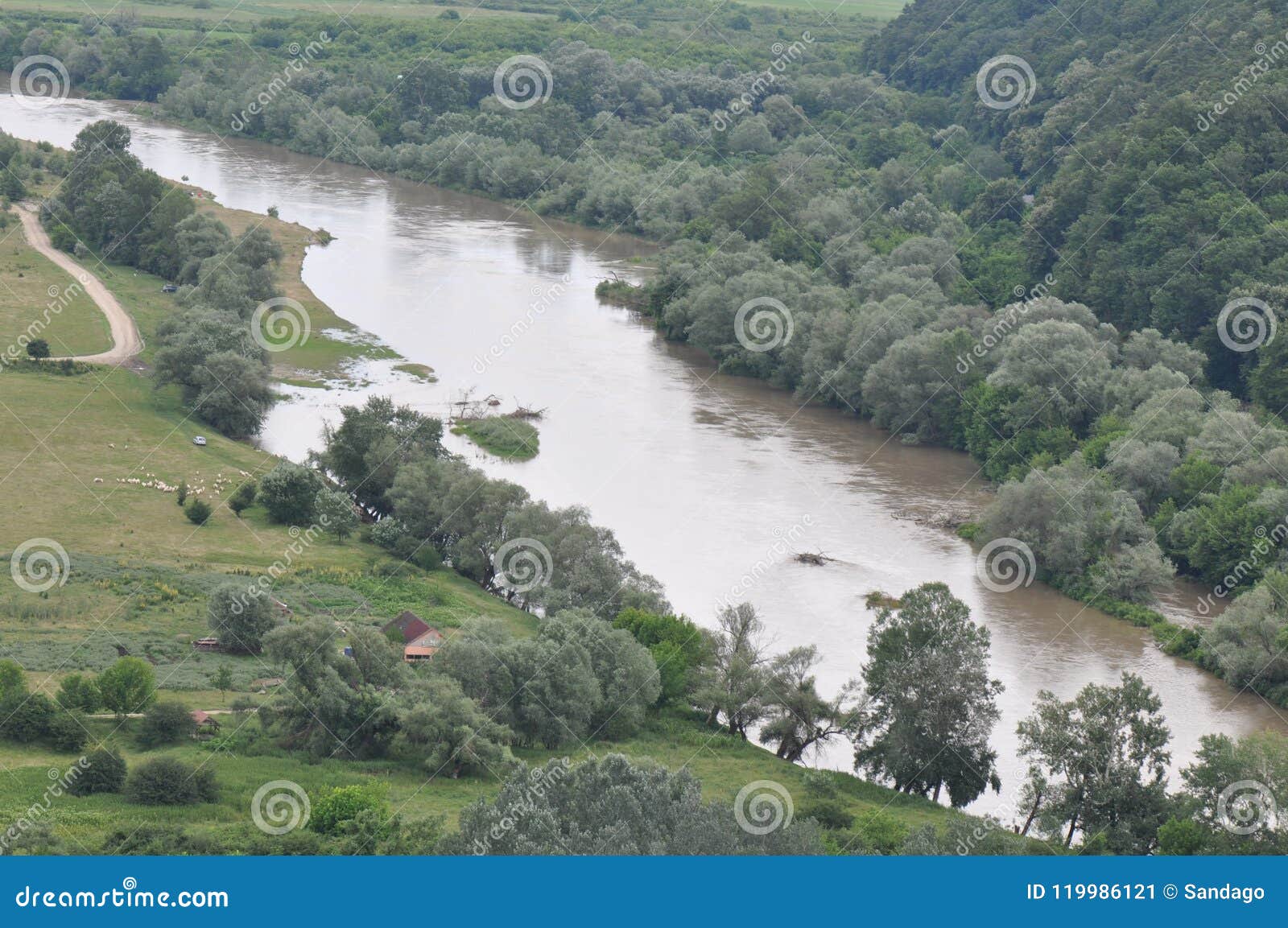 Mures River stock image. Image of danube, sunset, protected - 119986121