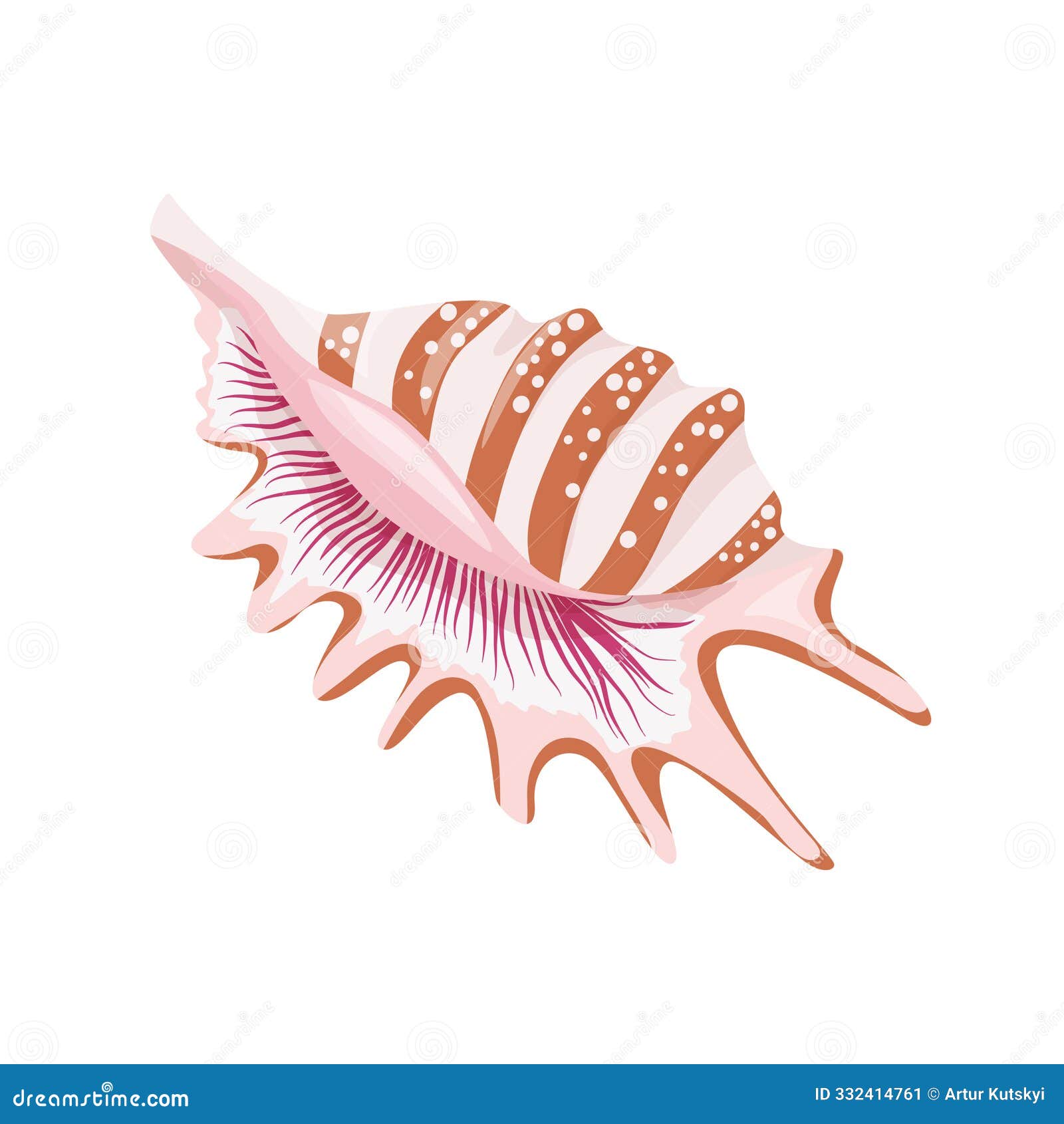 Murex Seashell Vector Image Stock Illustration - Illustration of murex ...