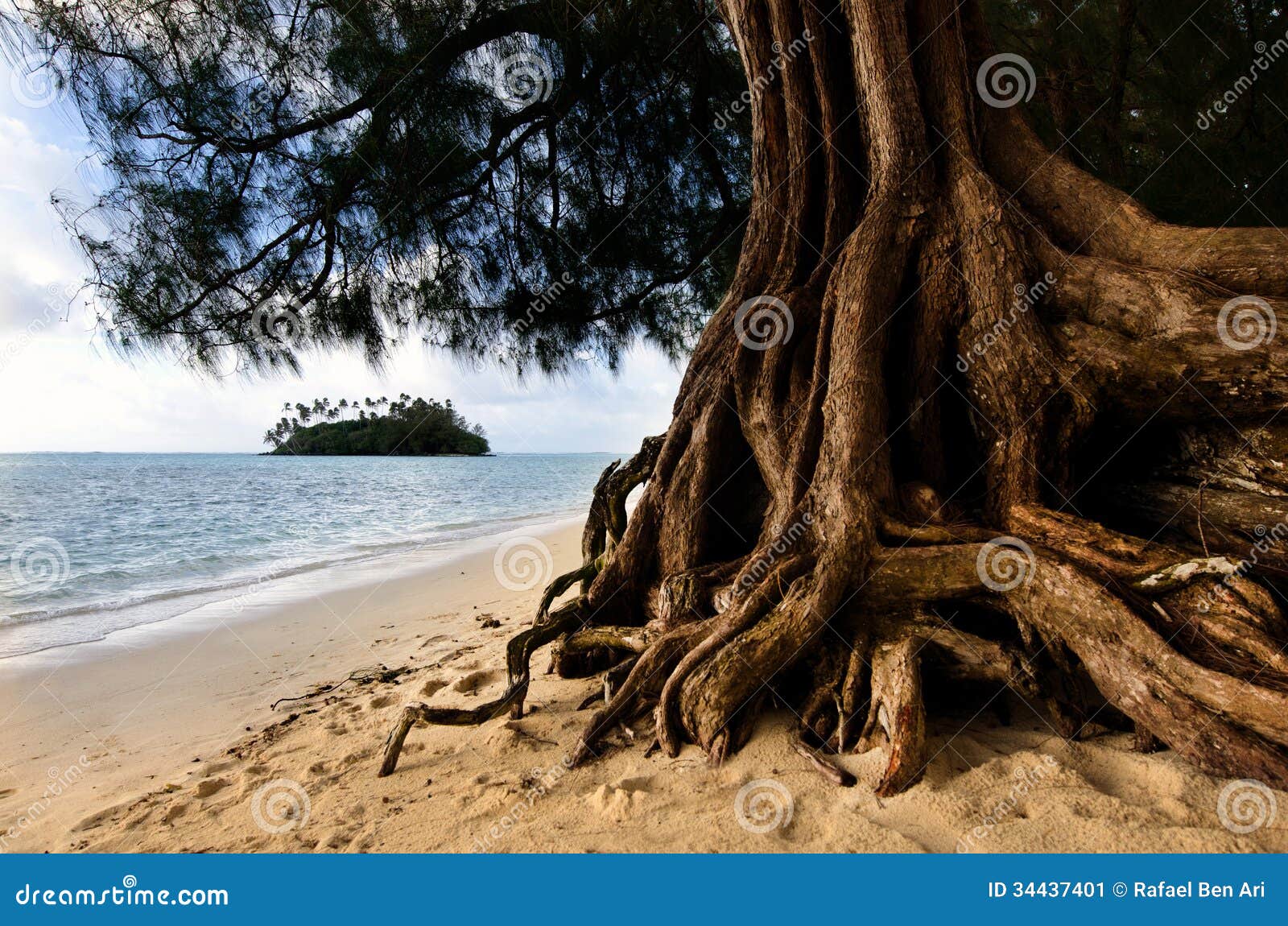 Muri Lagoon In Rarotonga Cook Islands Royalty-Free Stock Image ...