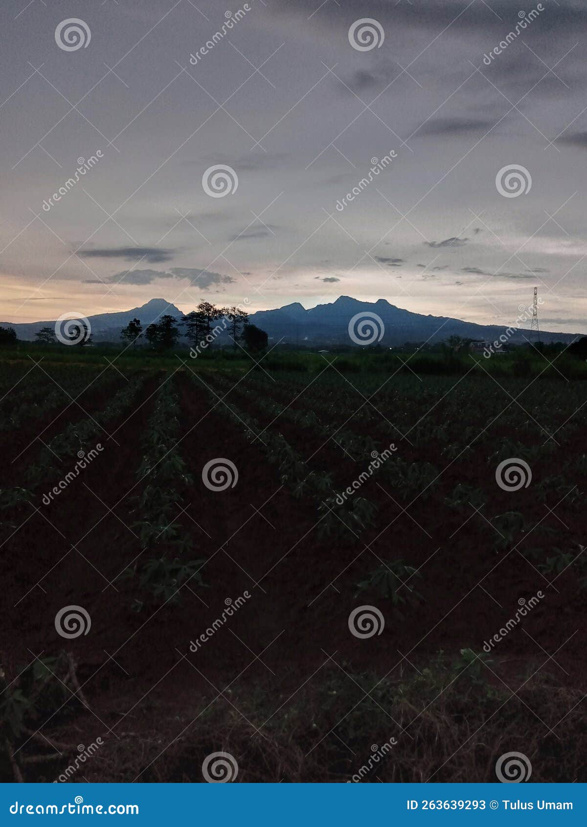 The muria mount stock image. Image of dawn, nature, grass - 263639293