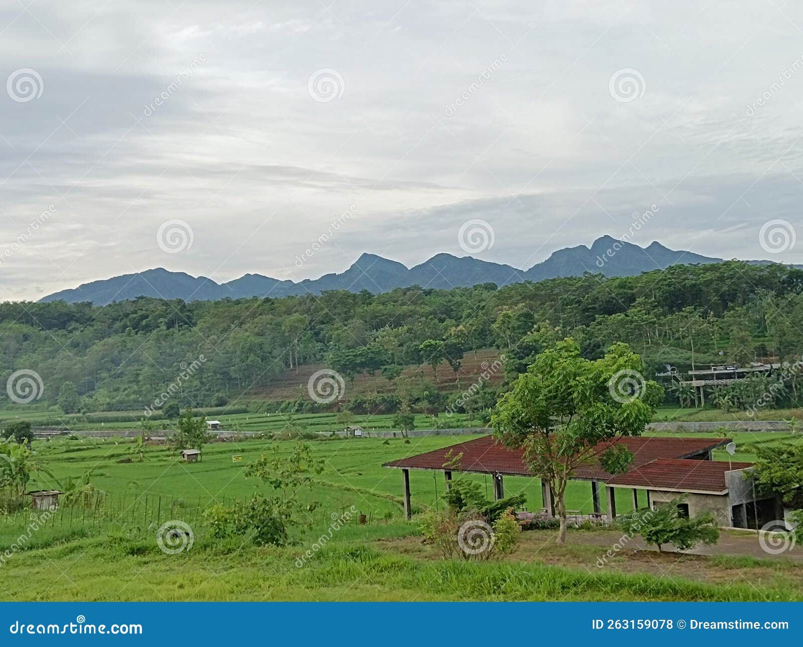 Muria mountain stock photo. Image of indonesia, mountain - 263159078