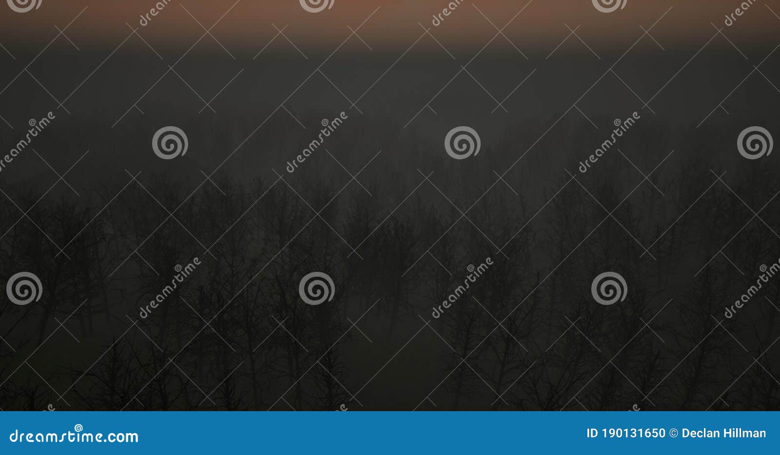 Murky Forest 3D Rendering stock illustration. Illustration of plants ...