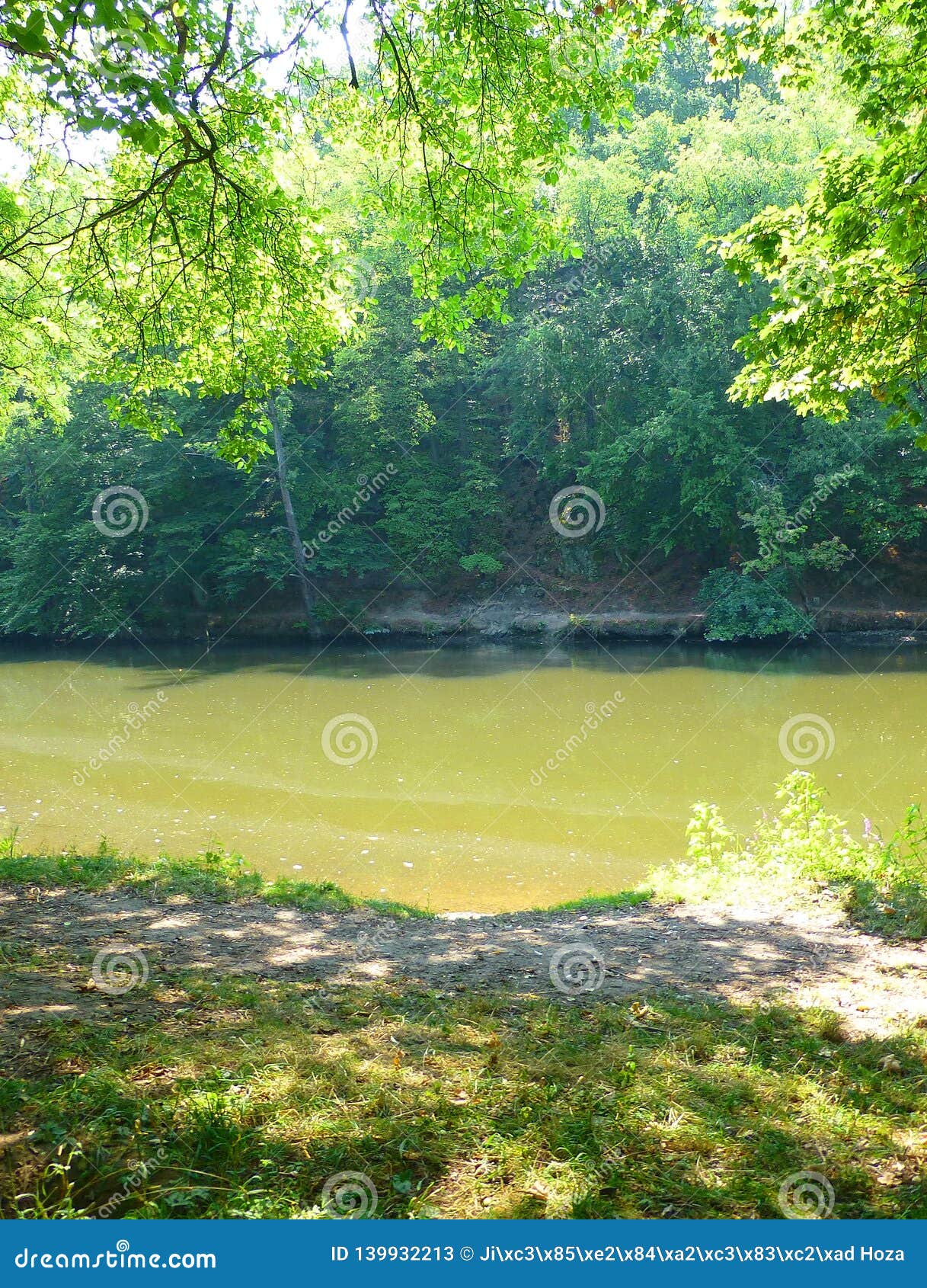 Murky River at Surrounded by Trees and Greenery Stock Image - Image of ...