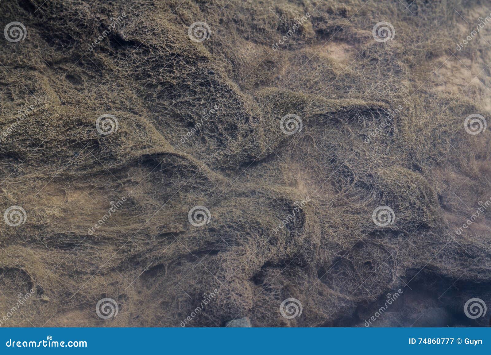 Murky water texture stock image. Image of murky, marine - 74860777