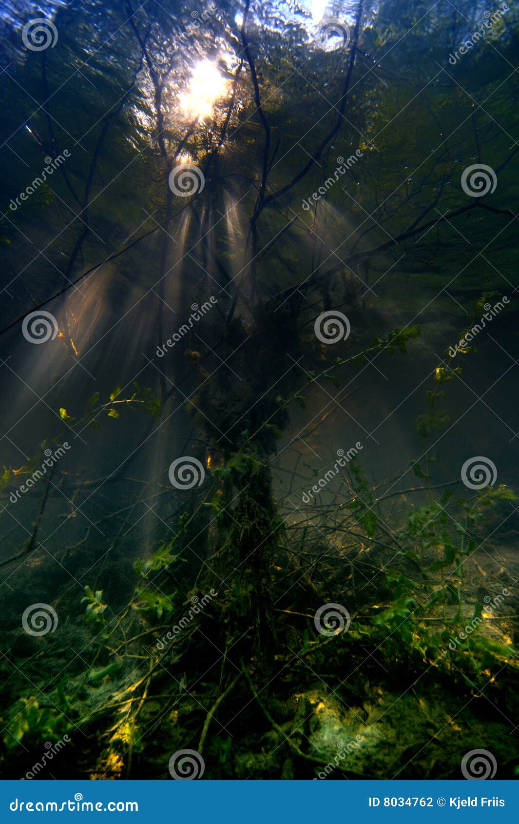 Murky Waters stock photo. Image of swimming, fantasy, nautical - 8034762