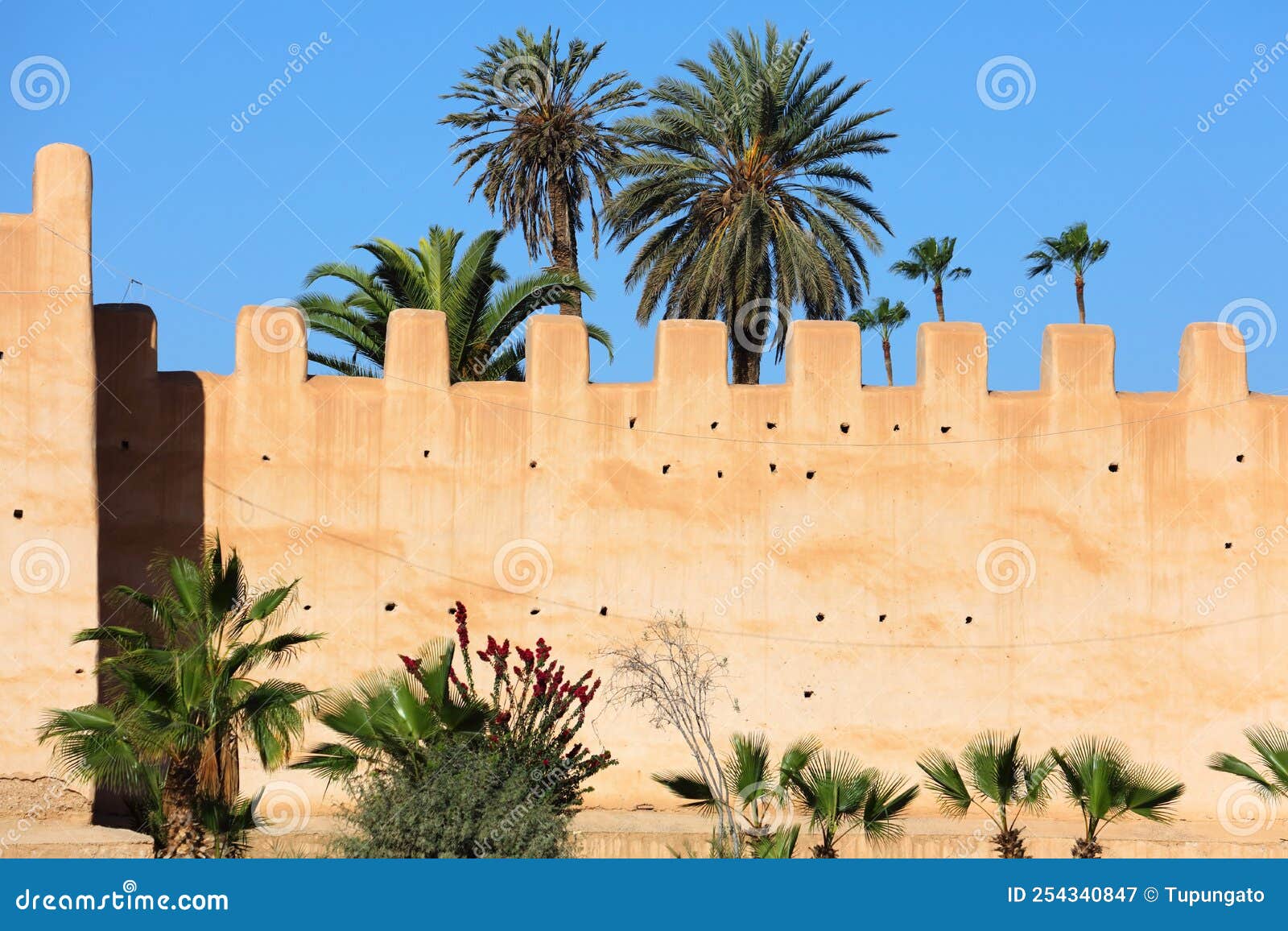 Muros Da Cidade De Taroudant Morocco Imagem de Stock - Imagem de palma ...