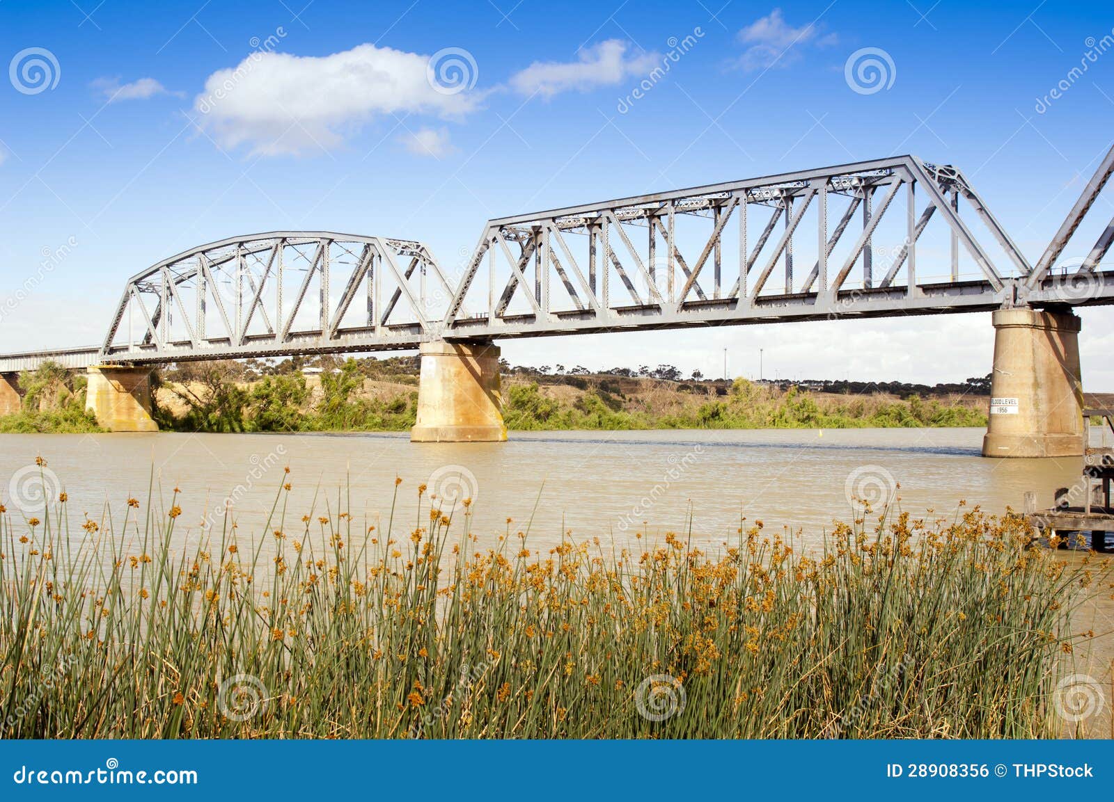 Murray Bridge stock photo. Image of summer, murray, australian - 28908356