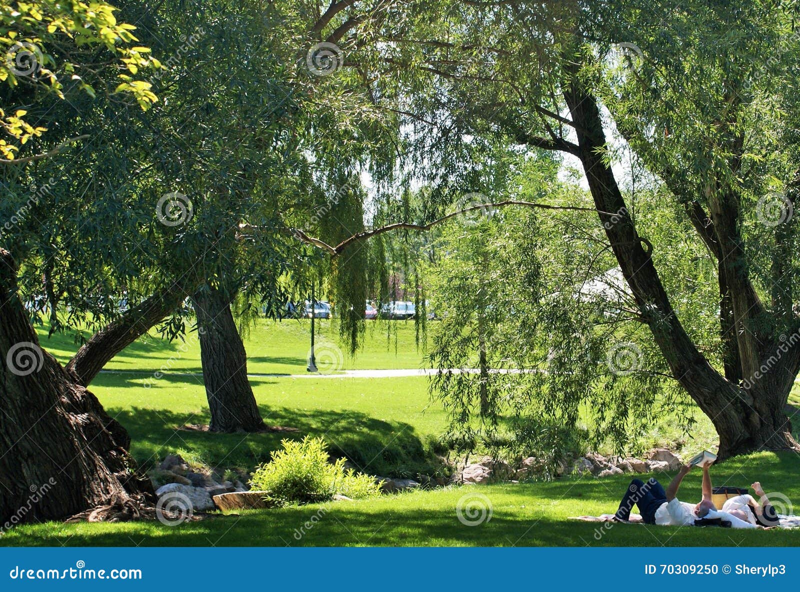 Murray Park editorial image. Image of salt, sony, relaxation - 70309250